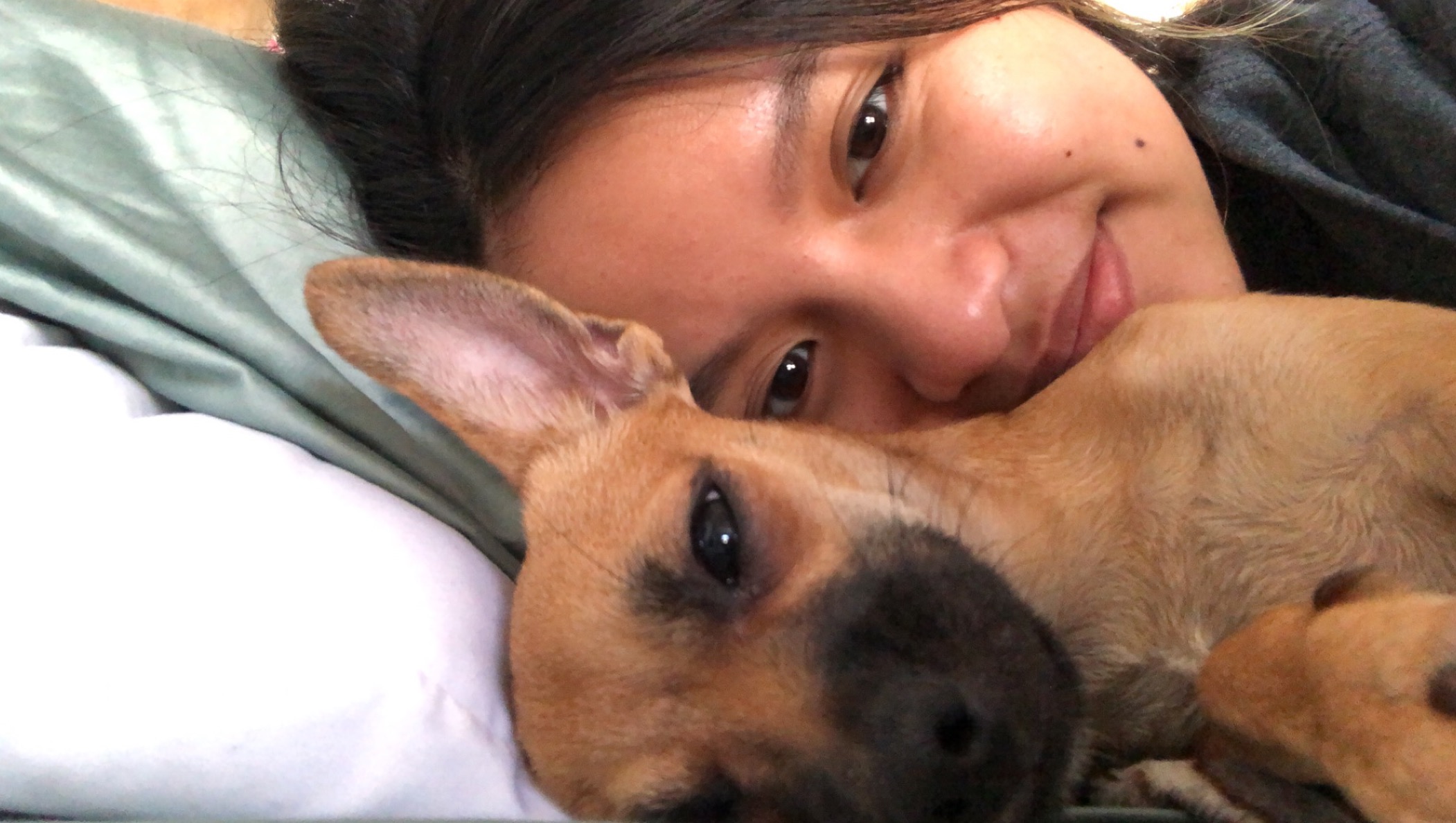 Fundraiser for Jaylin Tran by Tam Tran : Latte’s Emergency Surgery