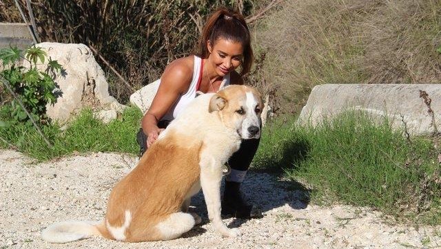 Fundraiser by Kelly-Louise Rowden : Fur Babies & Friends