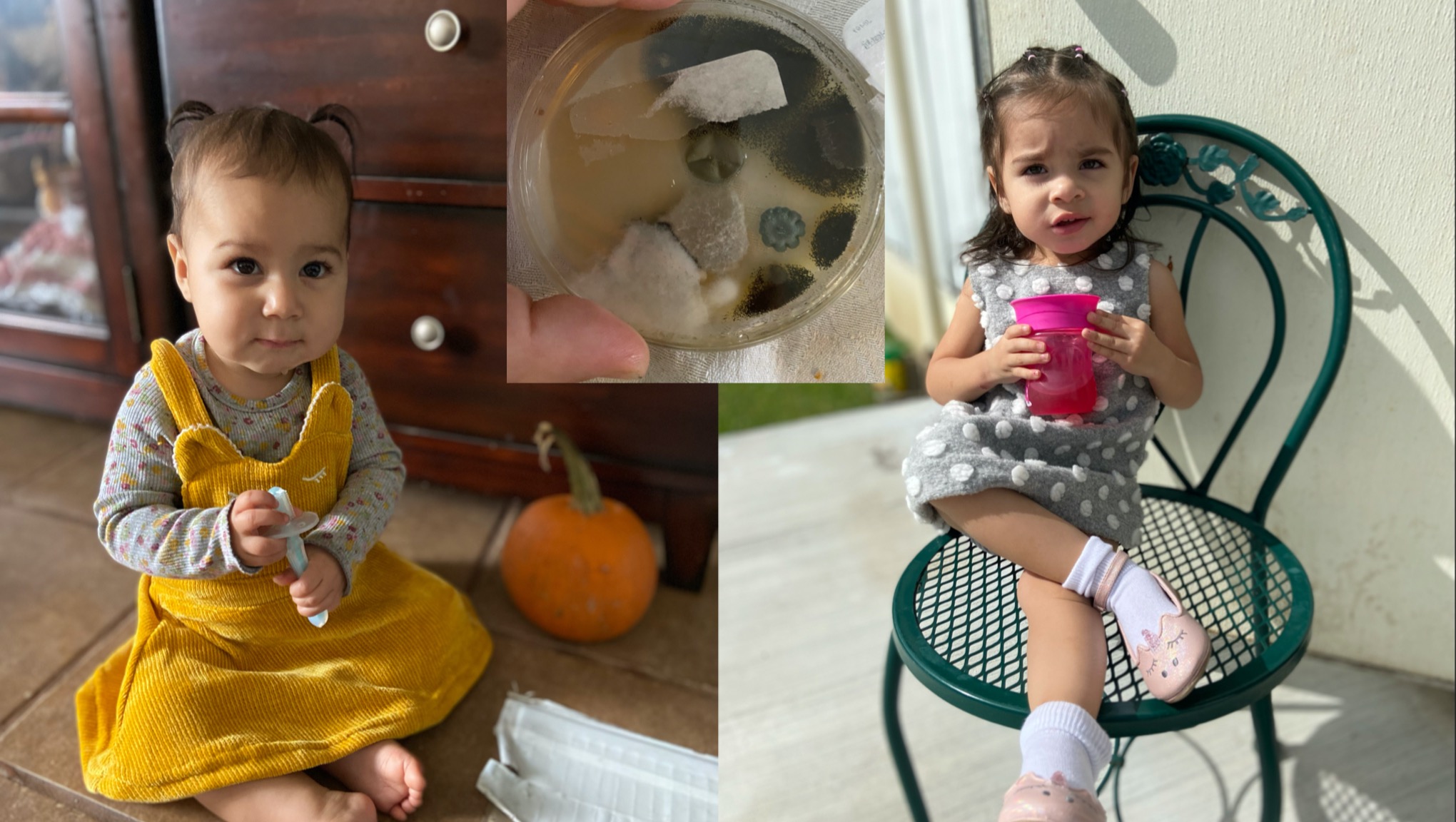 Fundraiser by Cierra Berry : Help Us Remove The Mold From Our Home