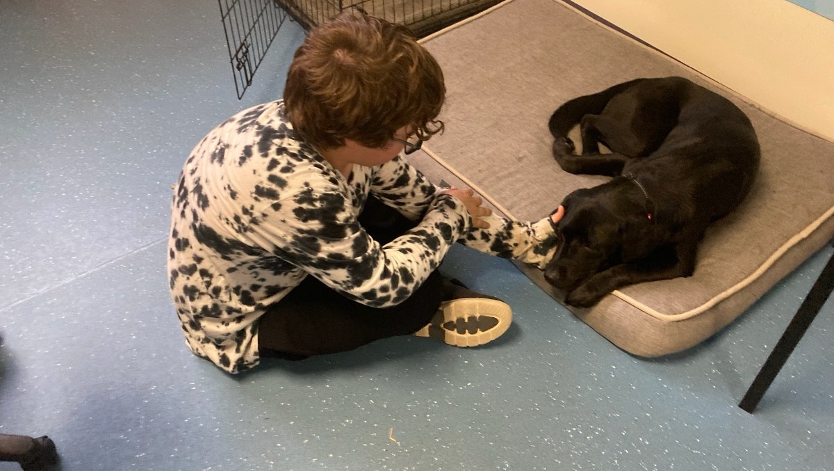 Fundraiser by Danielle Picone : Let levi live life like others