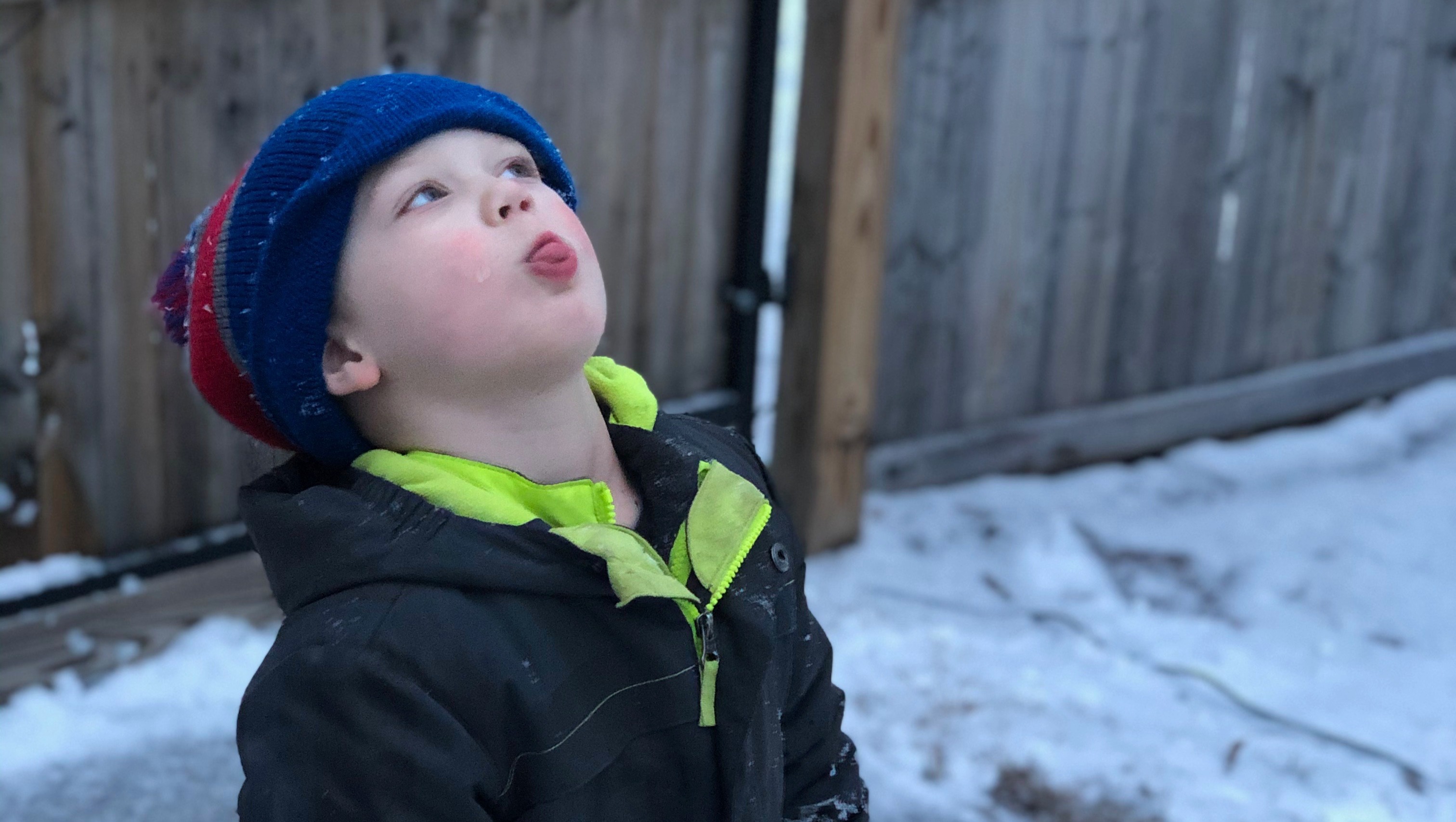 Fundraiser for Brenna Iselin by Mindy Smith : Henry David Iselin ...