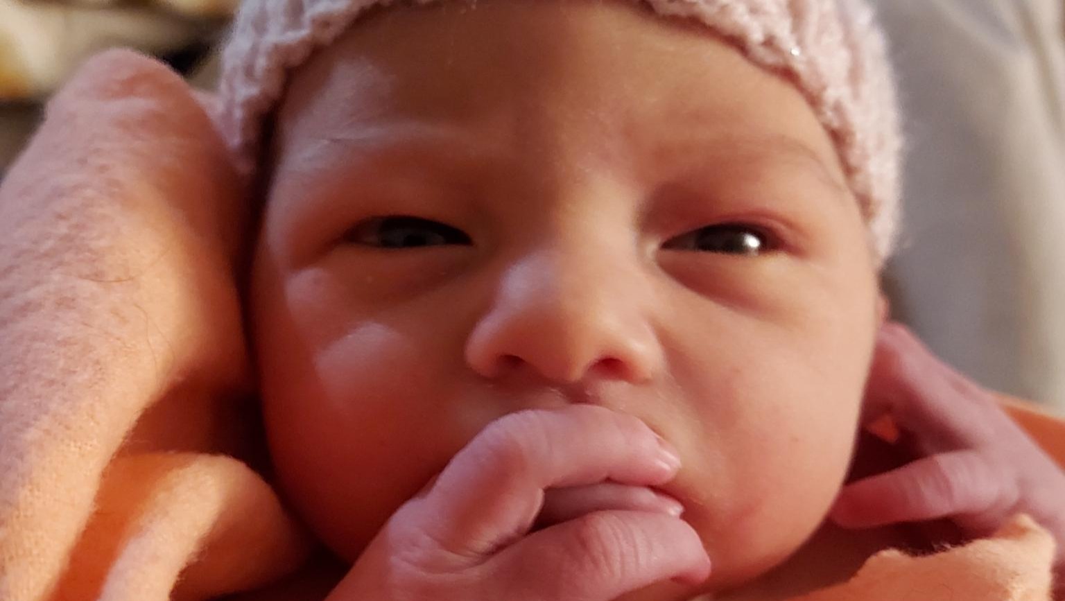 Fundraiser for Stephen Robinson by Nathaniel Hodges : Alexandria Noa ...