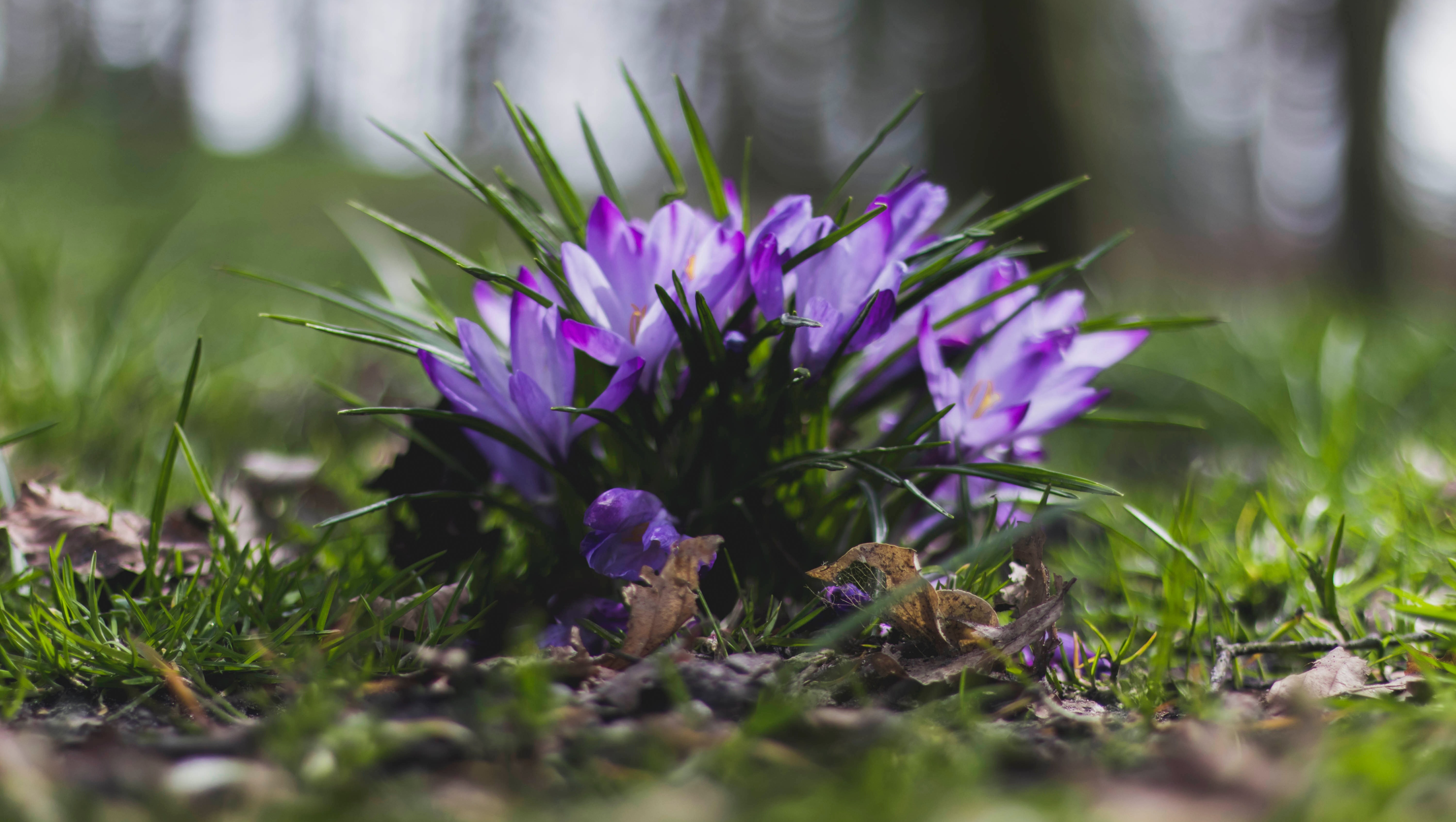 Fundraiser for Julie Vega by Catherine T : Help for Domestic Violence ...