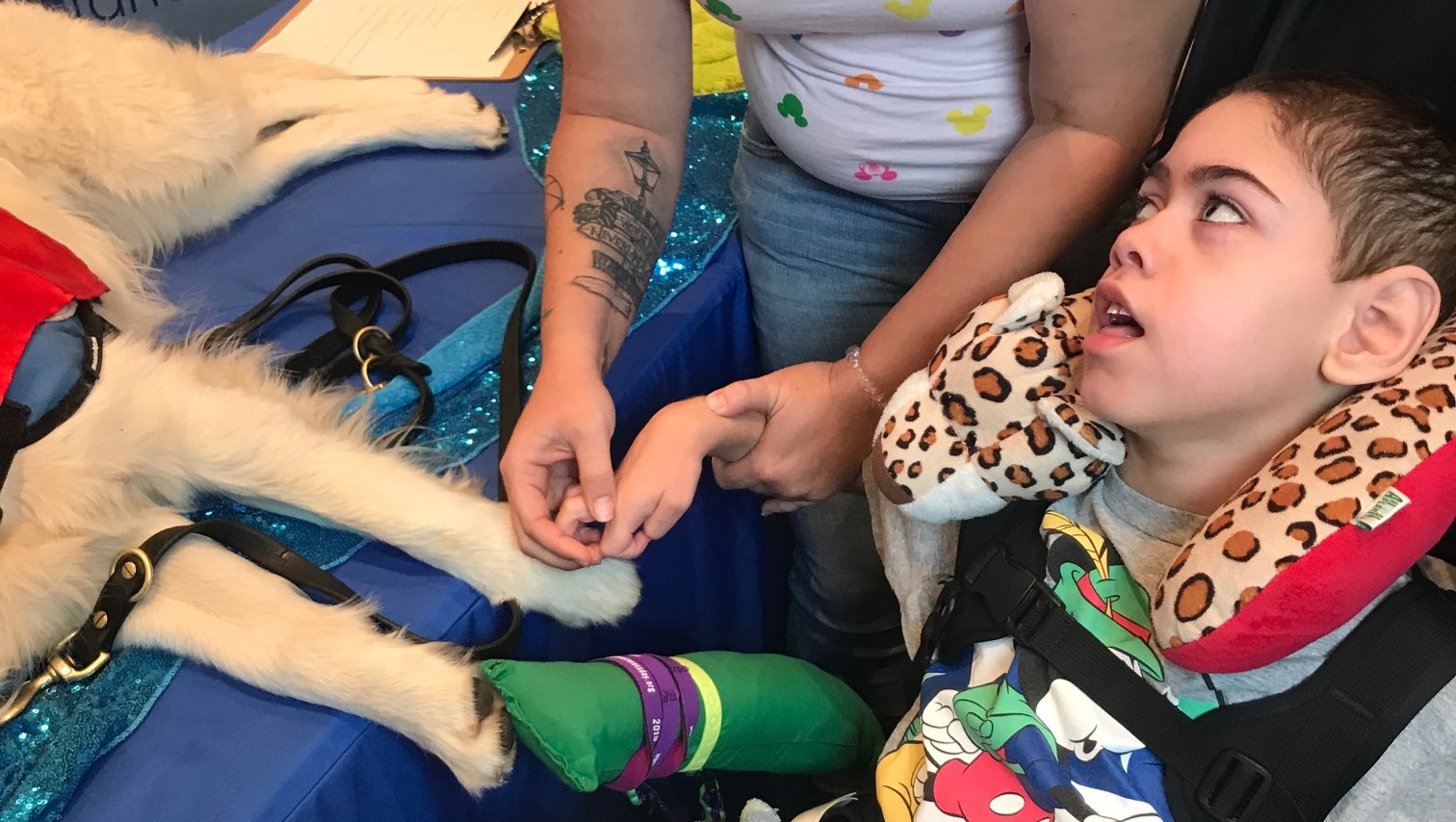 Fundraiser by Deshaun Treyes : Help Braylon Get a Seizure Dog