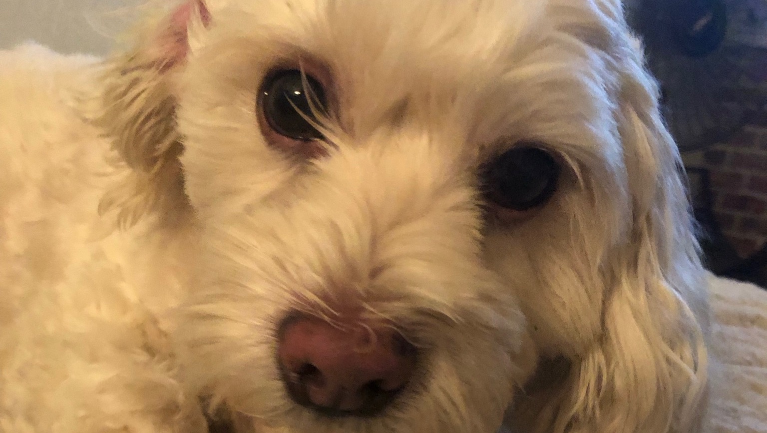Fundraiser by KATHY SZYMANSKI : Luke's Surgery