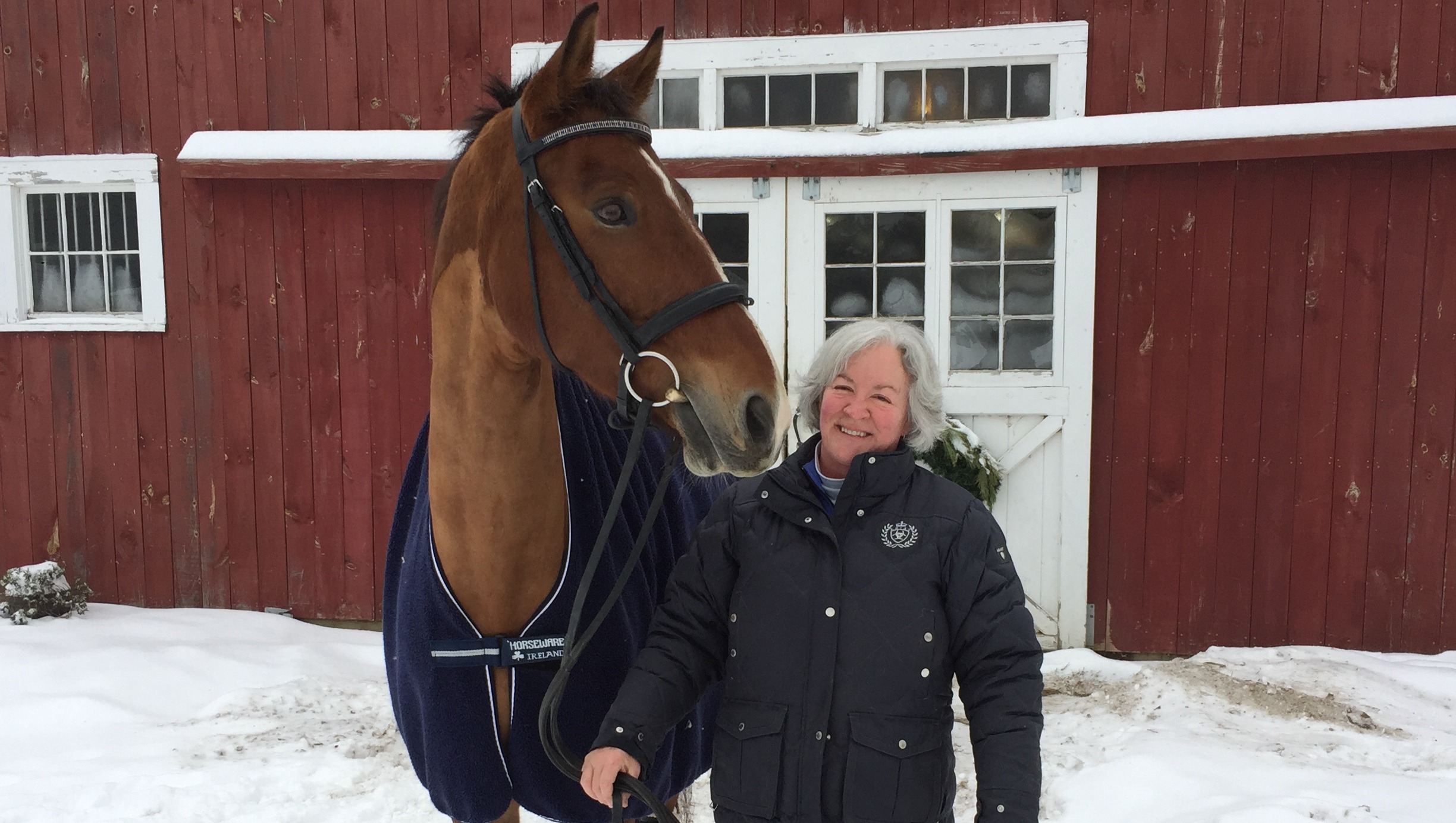 Fundraiser by Elizabeth Wildman : Sue Wildman's Horses- Danny and ...