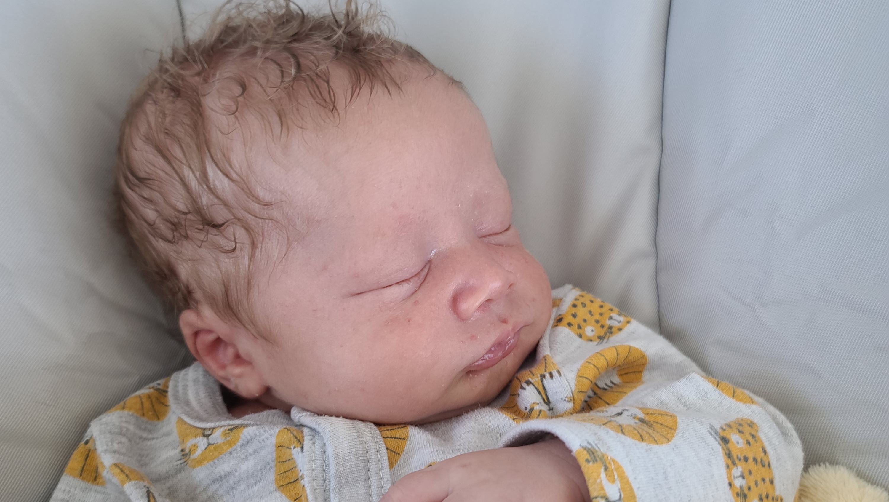 Fundraiser for Shakuwra Sandoval by Anne Blanton : Help Shakuwra so she ...