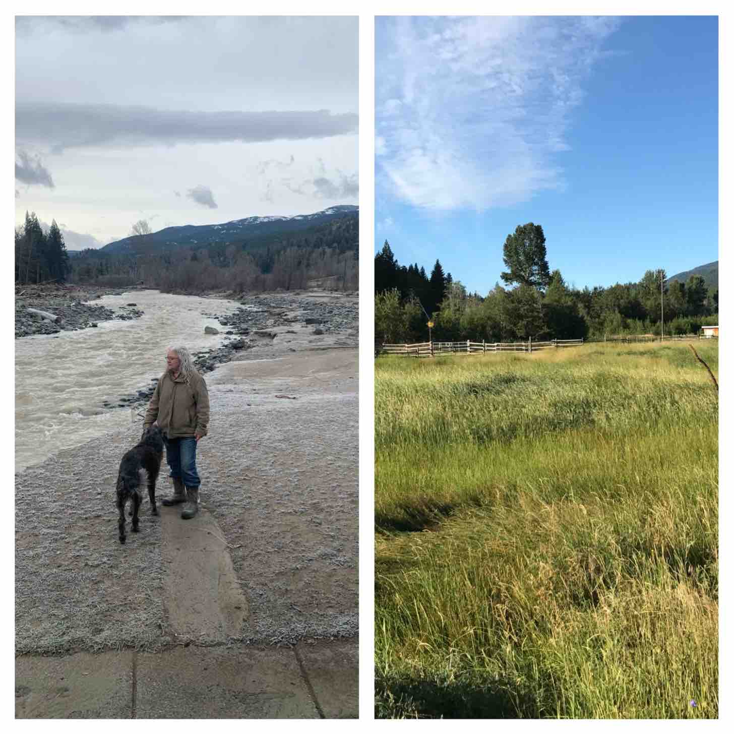 Fundraiser for Mavis Chivers by Lynea Dirom : Help save Chivers family ...