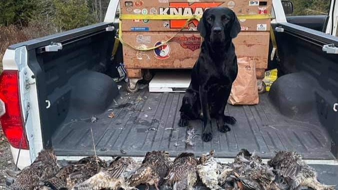 fundraiser-for-lyndsey-drouin-by-heather-severance-bo-dog-needs