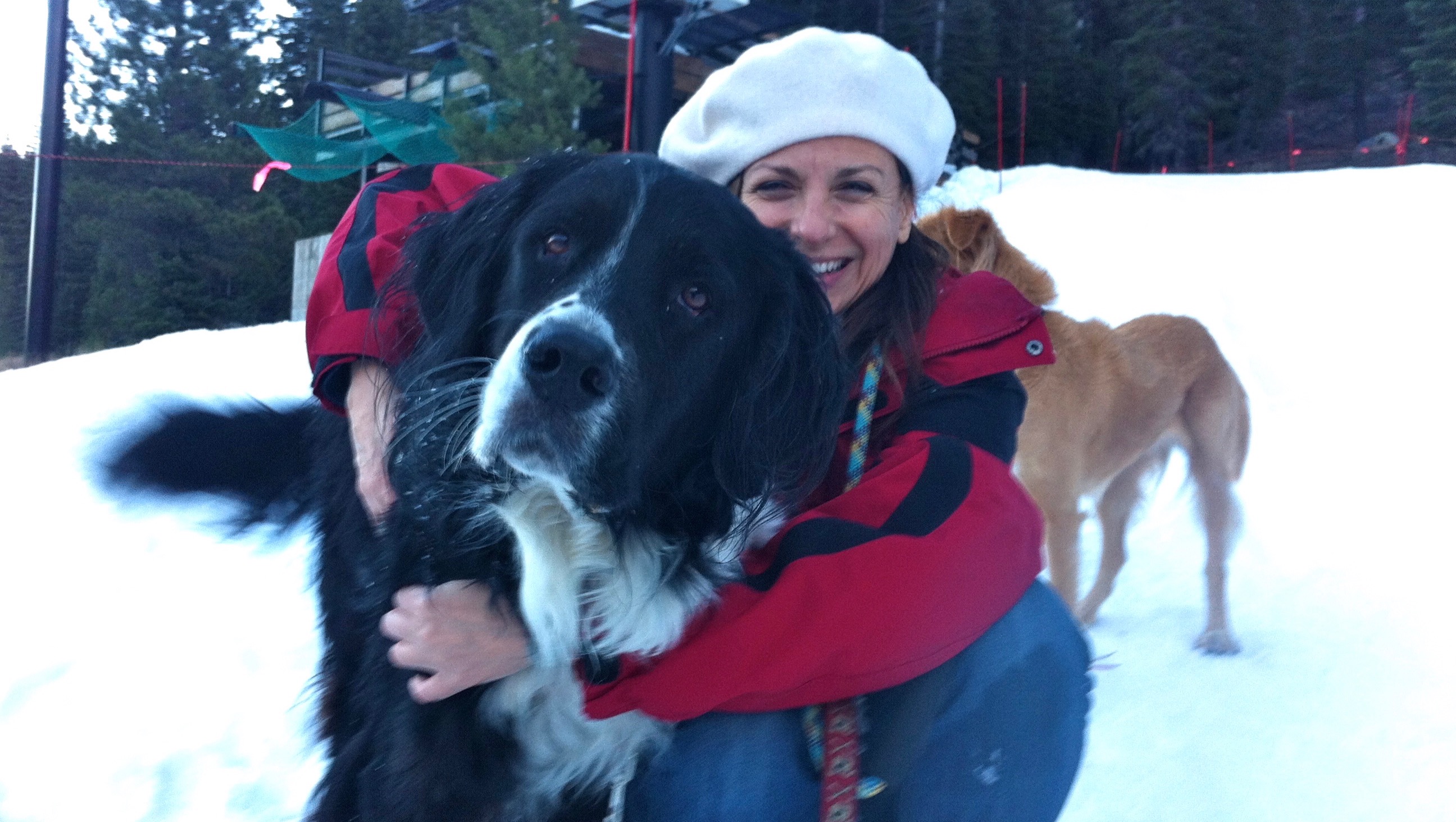 Fundraiser by Tracy Maddox : Help Me Kick Cancer's Ass