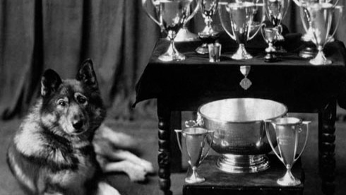 Fundraiser by Poland Spring Preservation Society : Bring Togo Sculpture ...