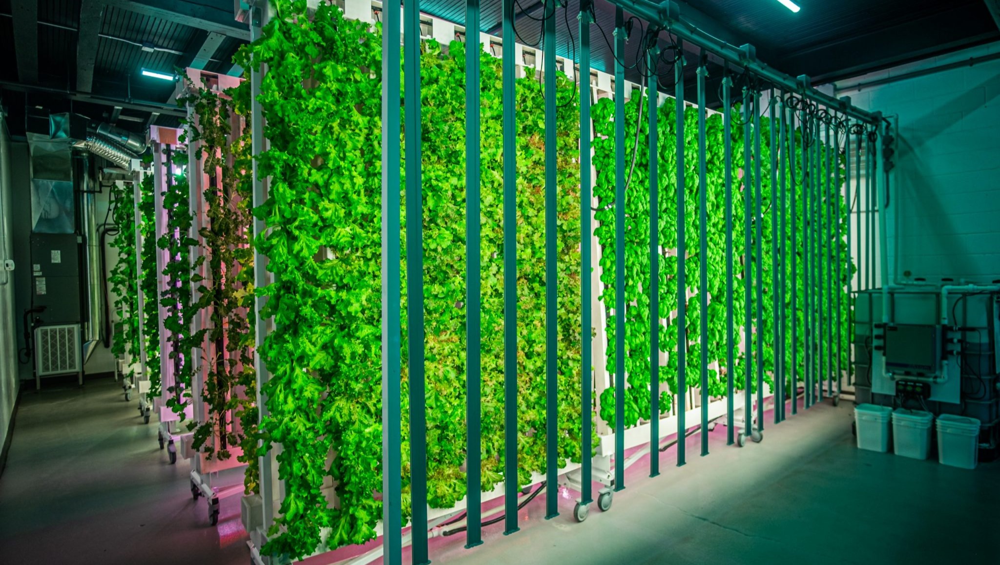 Fundraiser by Benjamin Feagin : Give a Gift of Food Security to ...