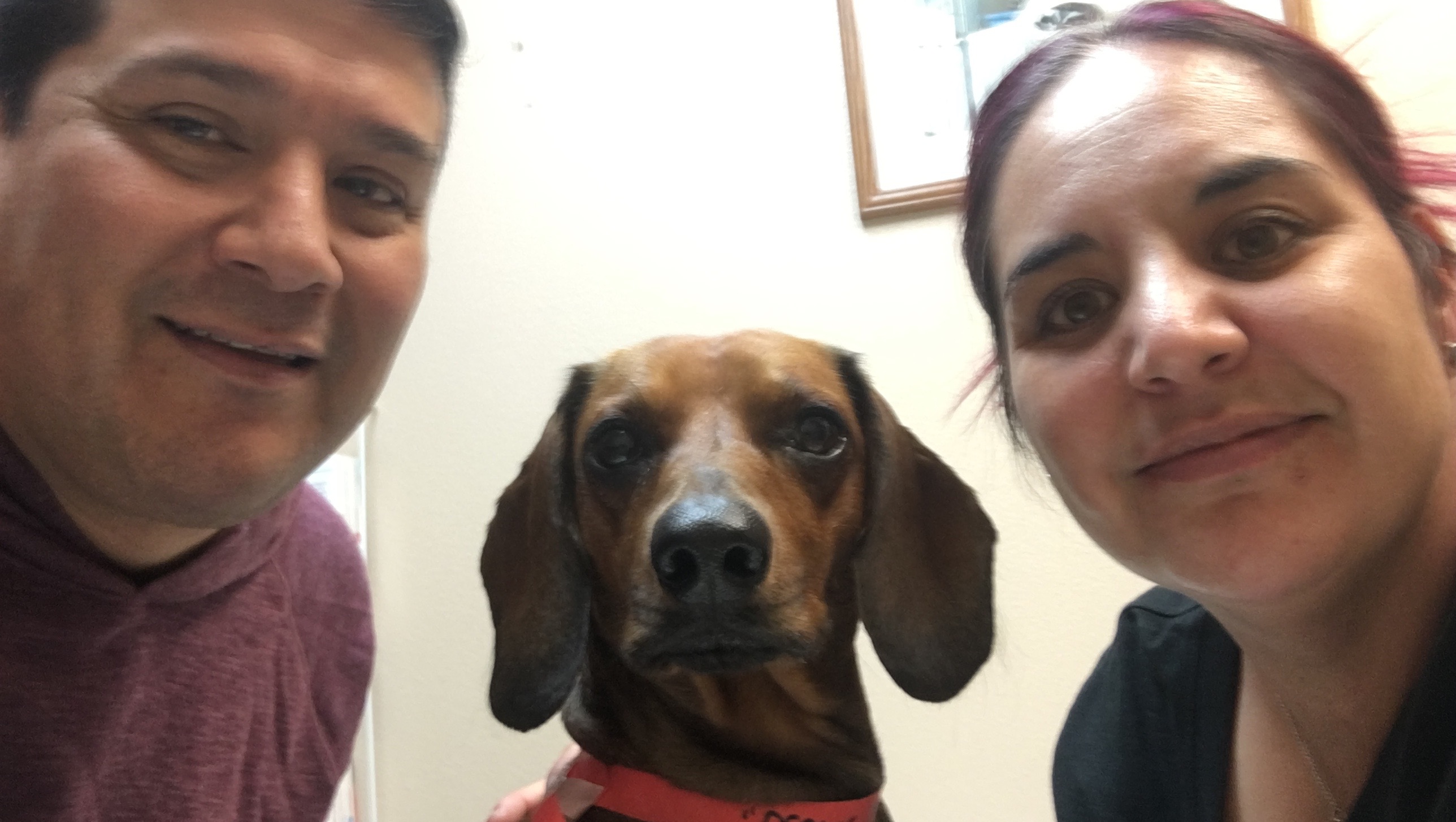 Fundraiser By Luis Molinar Oscar s Back Surgery fundraiser-by-luis-molinar-oscar-s-back-surgery