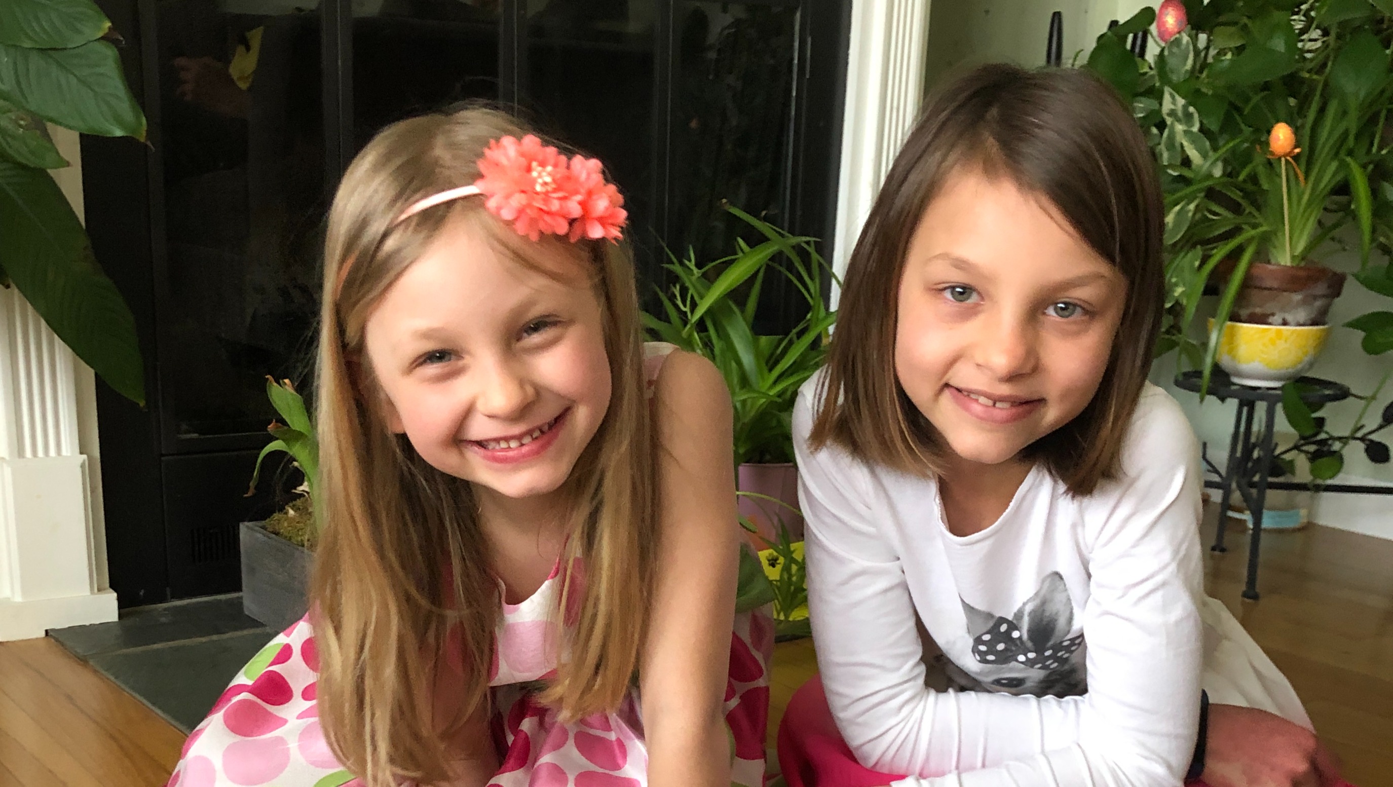 Fundraiser for Steve Simon by Jennifer Liggett : Justice for Maya and Julia