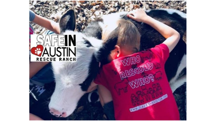 Fundraiser by Jamie Wallace : Safe in Austin Rescue Ranch Fundraiser