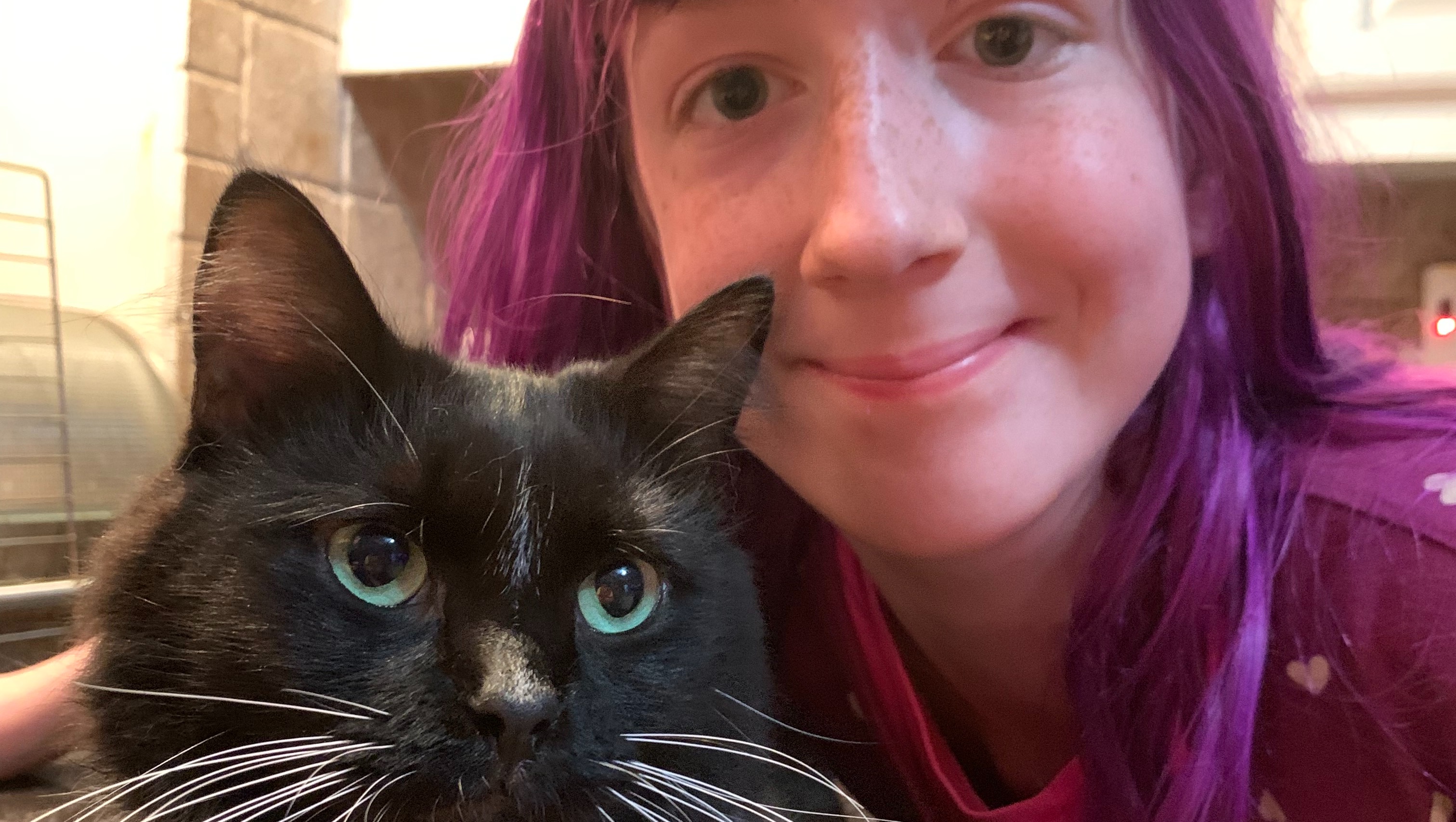 Fundraiser for Catherine Ferrone by Anastasia Ferrone : Please help ...