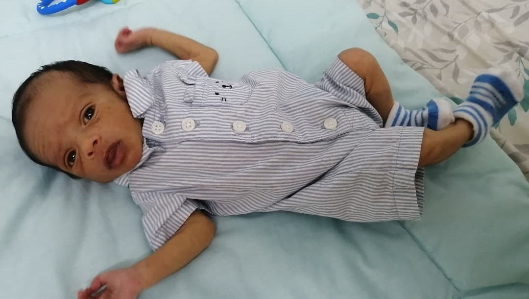 Fundraiser by Erik Taveras : Help Hamlet Miguel Herman Rojas