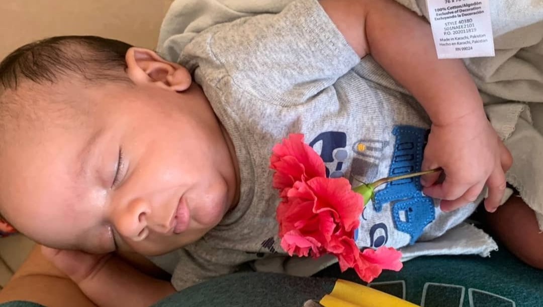 Fundraiser by Erik Taveras : Help Hamlet Miguel Herman Rojas