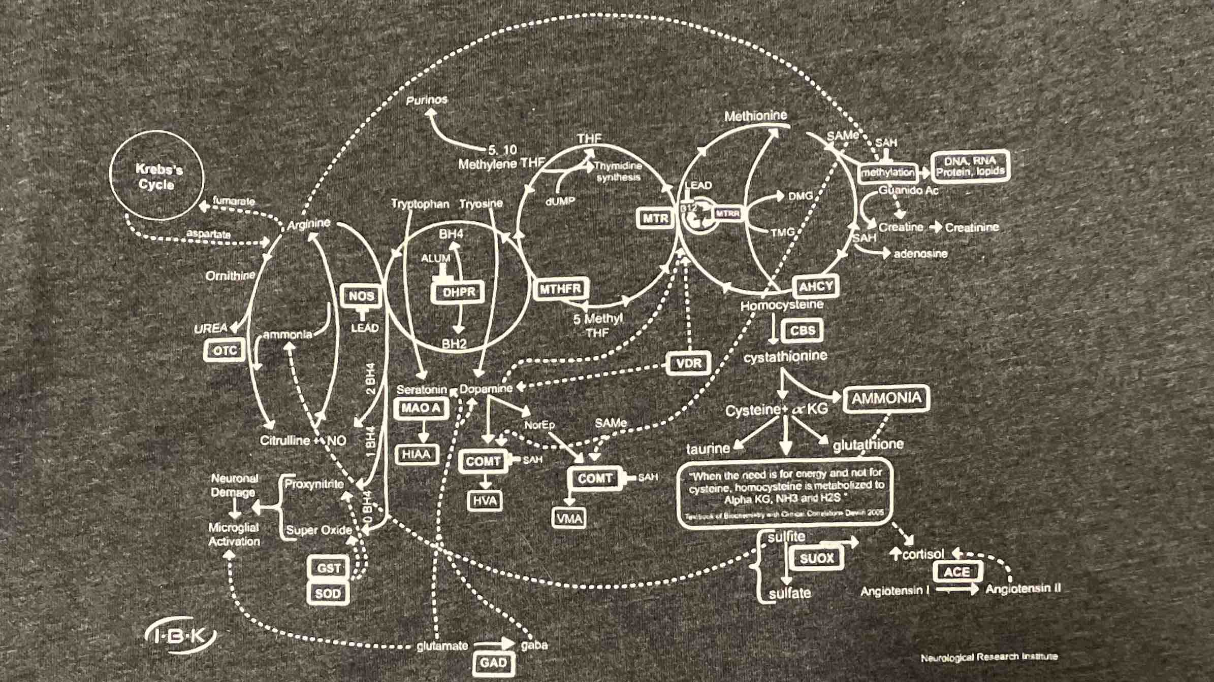 Fundraiser for Maria Janik by Karen Cipowski : Supporting Our Mentor