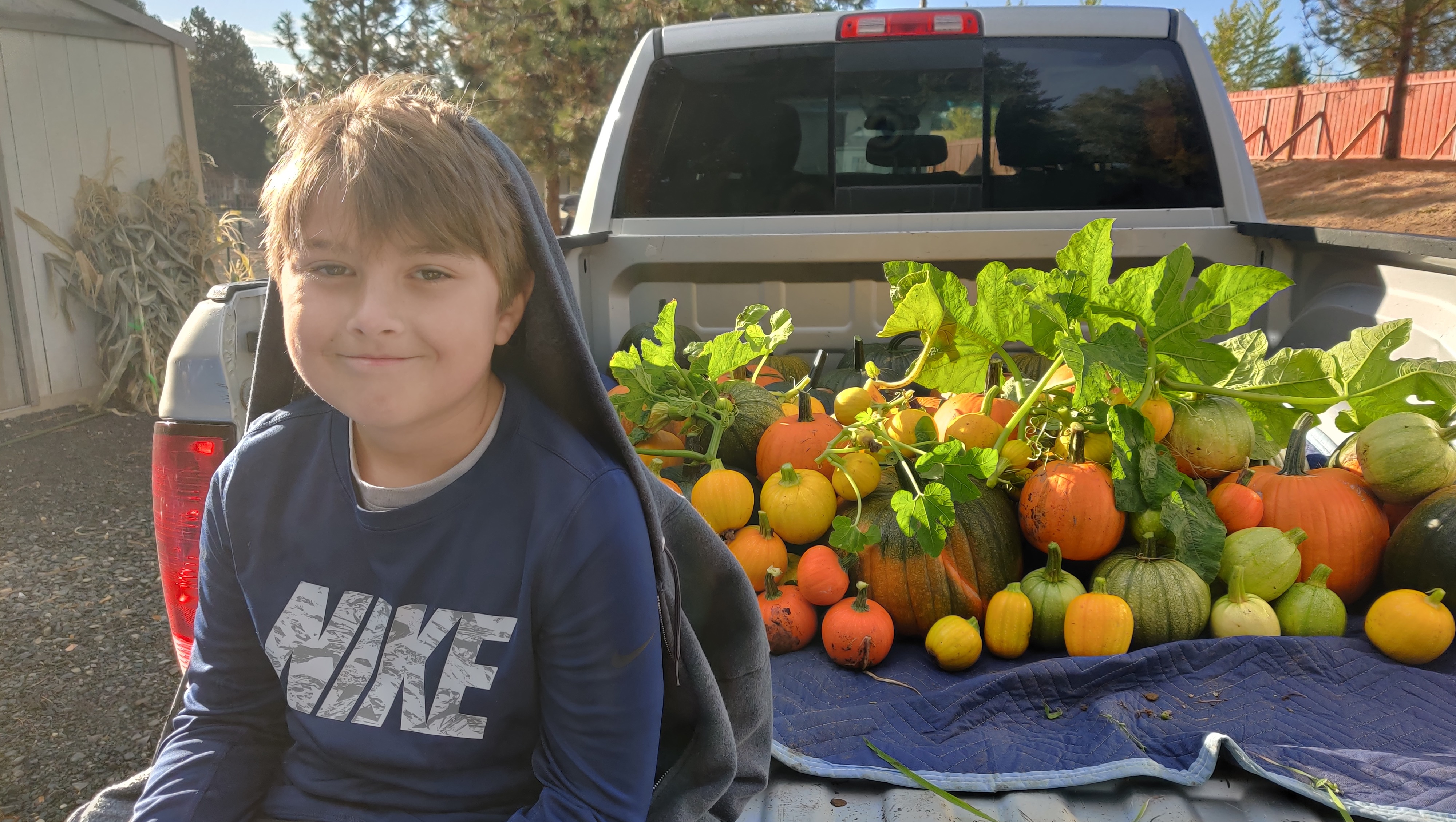 Fundraiser by Noah Ullah : Cohen's community pumpkin and Christmas tree ...