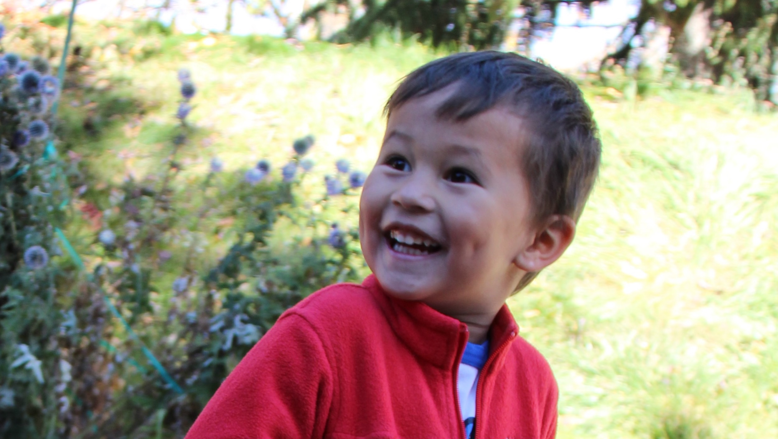 Fundraiser for Lori Witte by Stacy Wasson : Support for the Witte’s