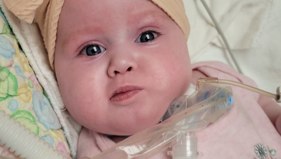 Fundraiser for Joshua Secord by Ginette Secord : Support Lilly's ...