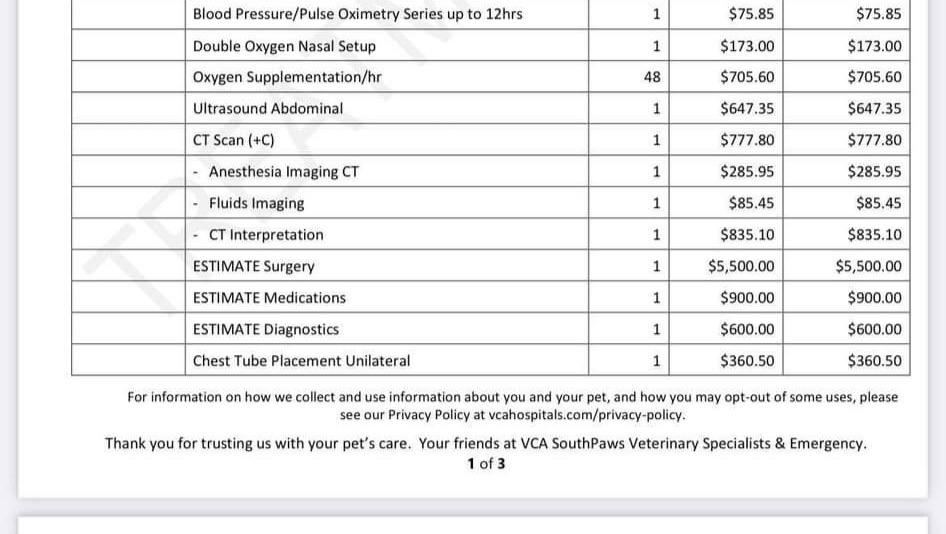 Fundraiser for Kaitlin Neal by Abigael Waddell : Help Save Rocco