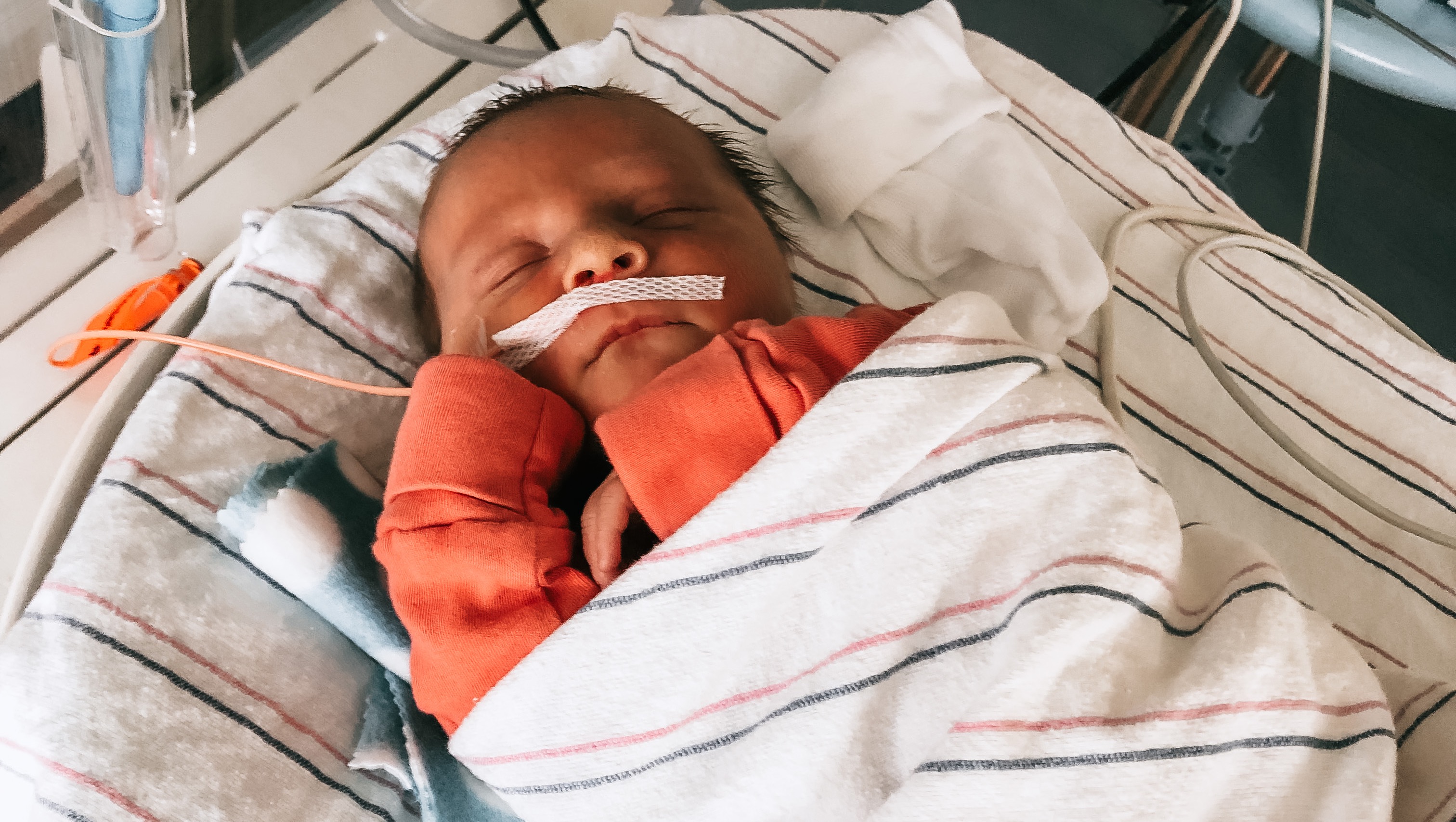 Fundraiser for Brittany DiBella by Megan O'Neal : Help Luca Come Home