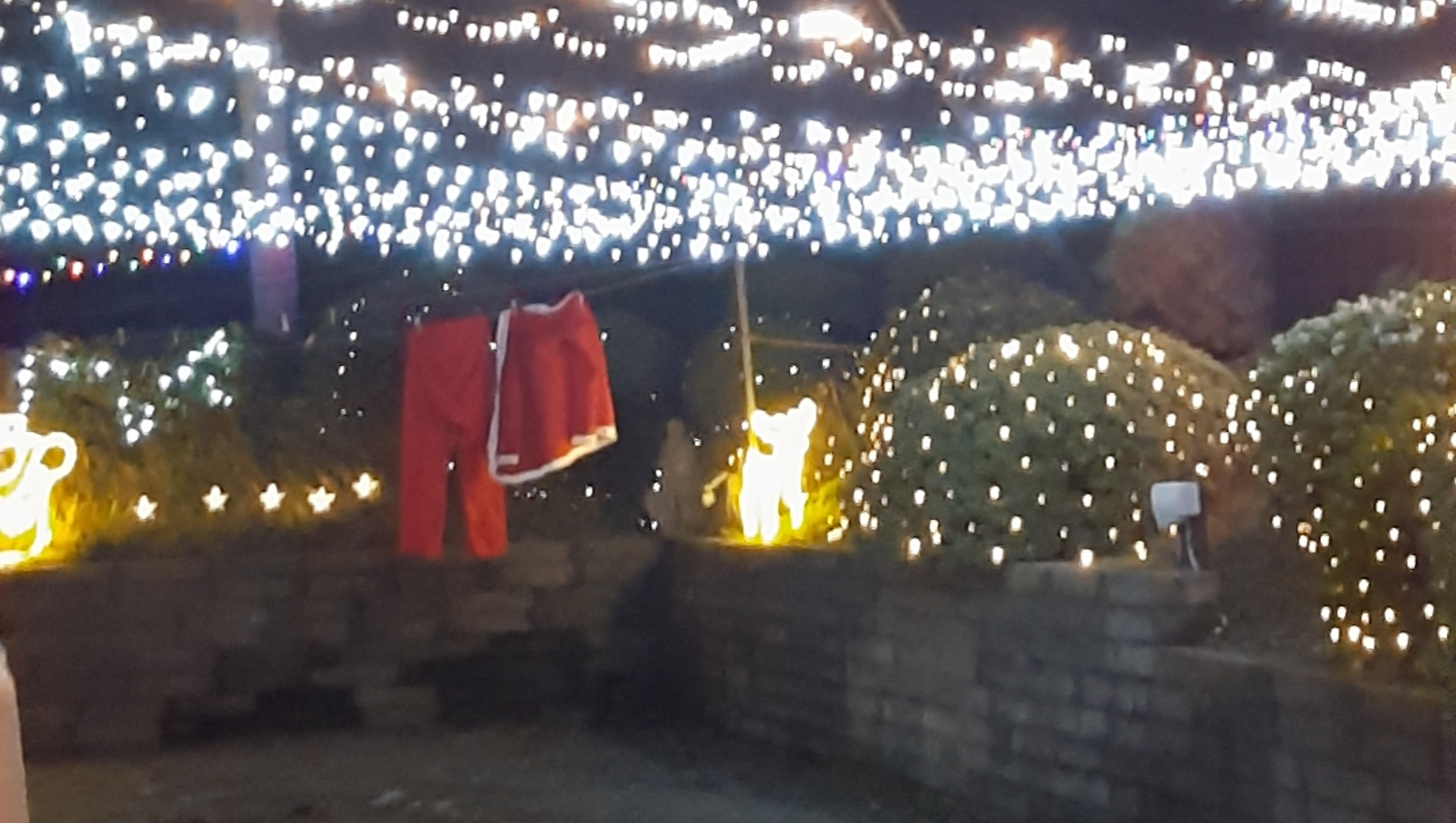 Fundraiser by Pauline O Callaghan : John and Pauline's fundraiser for ...