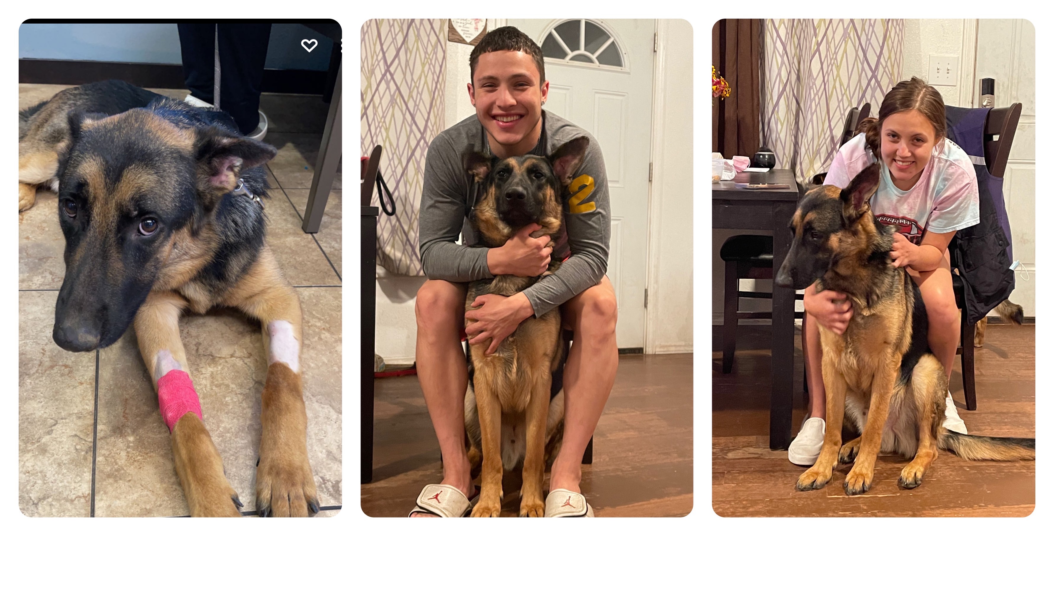 Fundraiser for Ryan Pike by Christina Sanchez : Save Toby