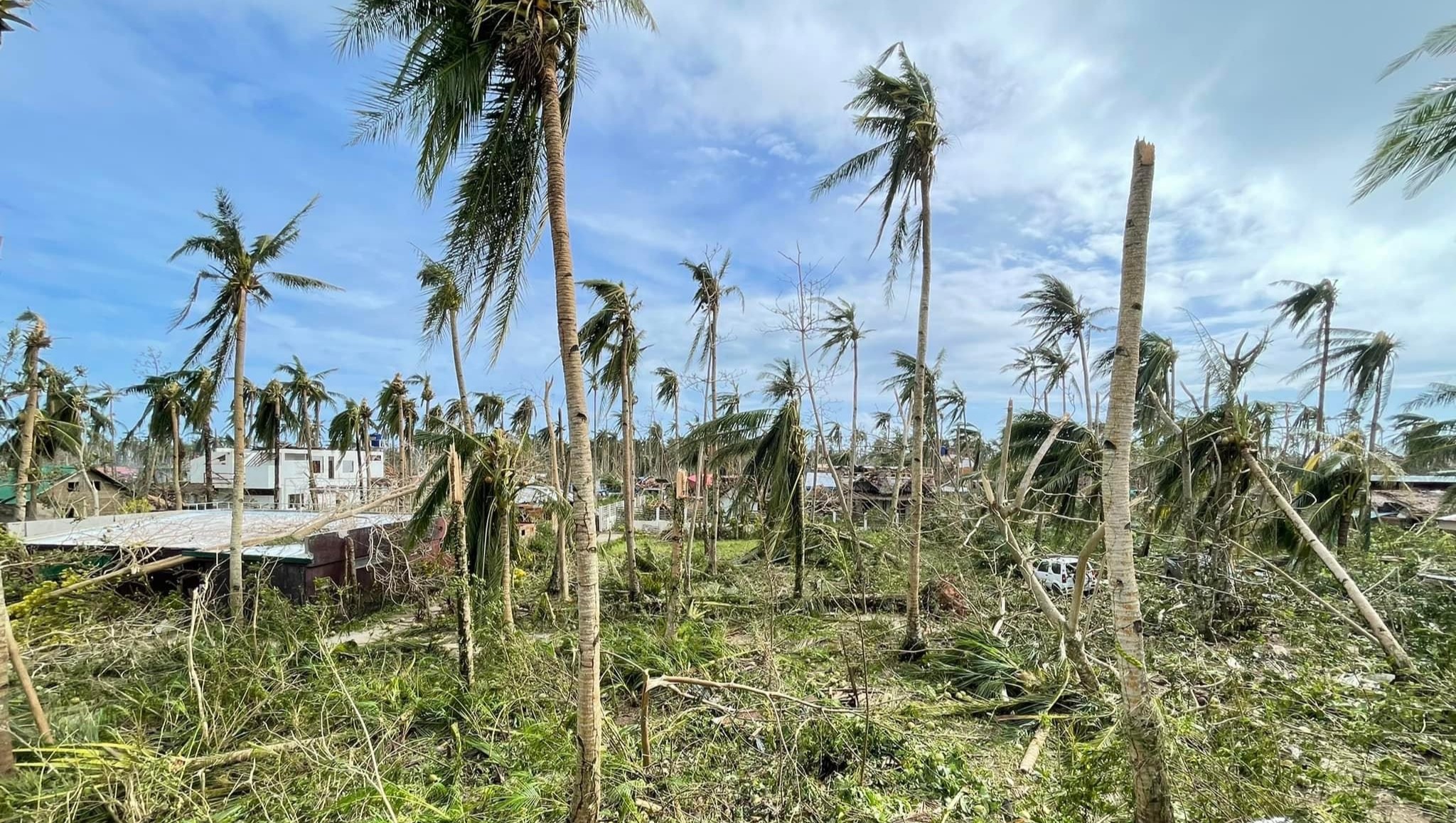 Fundraiser for Verity Wigley by Kate Wigley : Help Verity & community ...