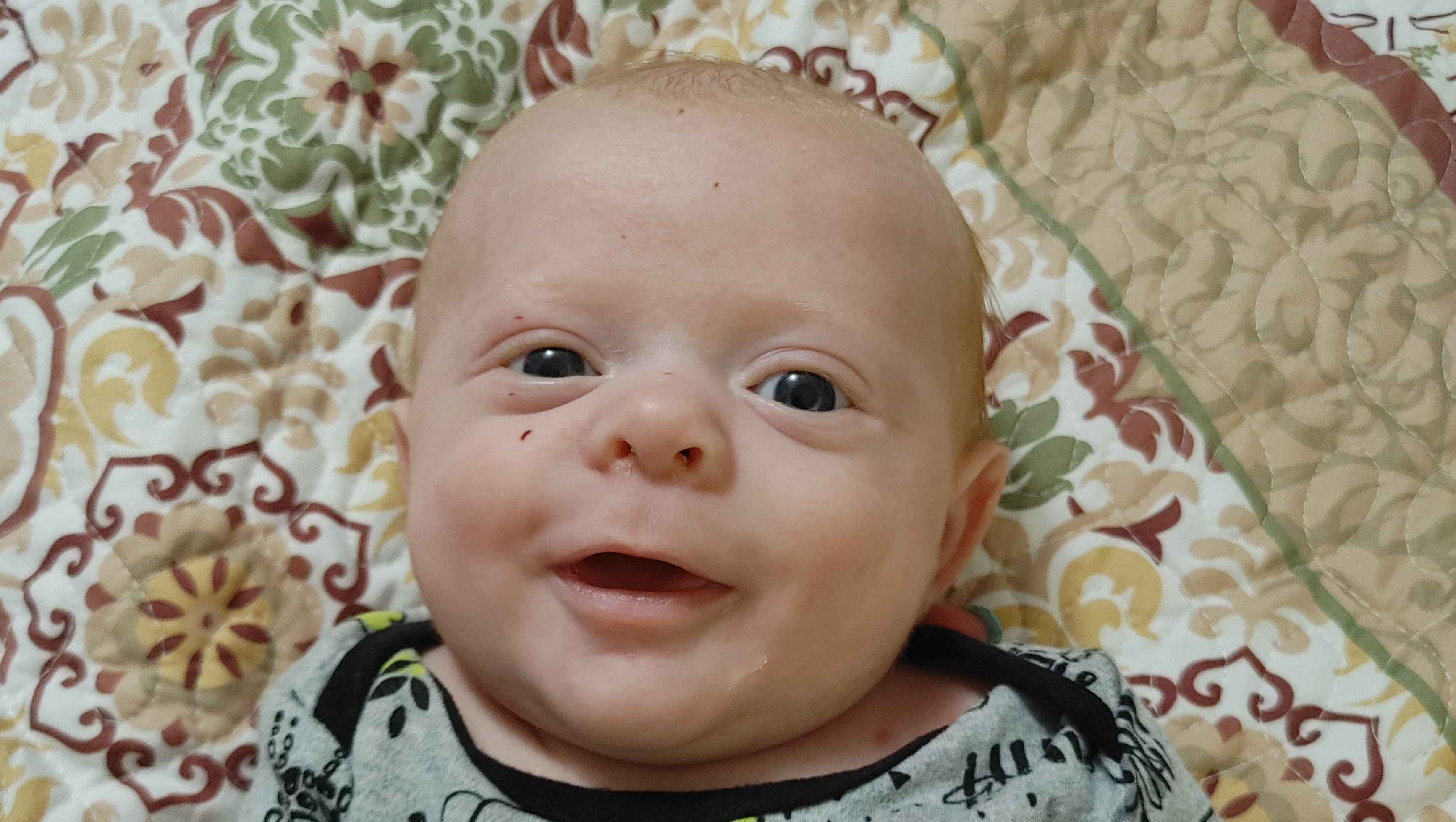 Fundraiser for David Dosch by Robin Norman : Zeke's Memorial