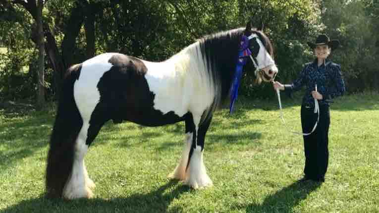 Fundraiser for Valerie Menz by Friends of Val : Val Menz tragic loss of ...