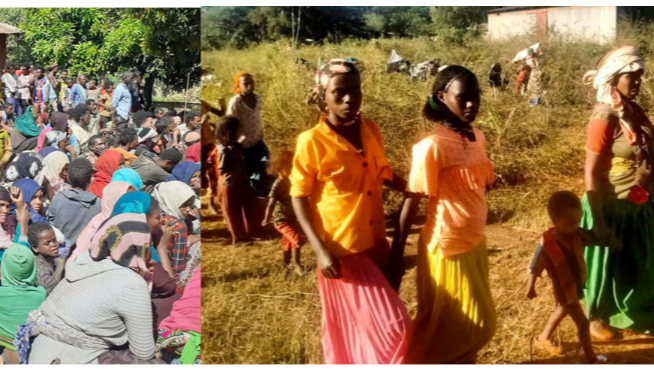 Fundraiser by Beza Assegu : Manbuk Ethiopia Restoration fund