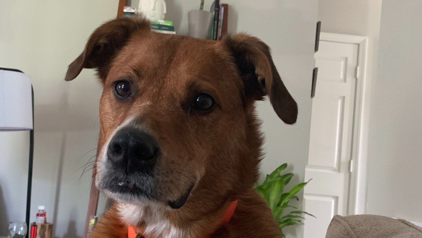 Fundraiser by Torrey Cazeault : CHEMO FUNDS FOR CHANCE TAMMINGA