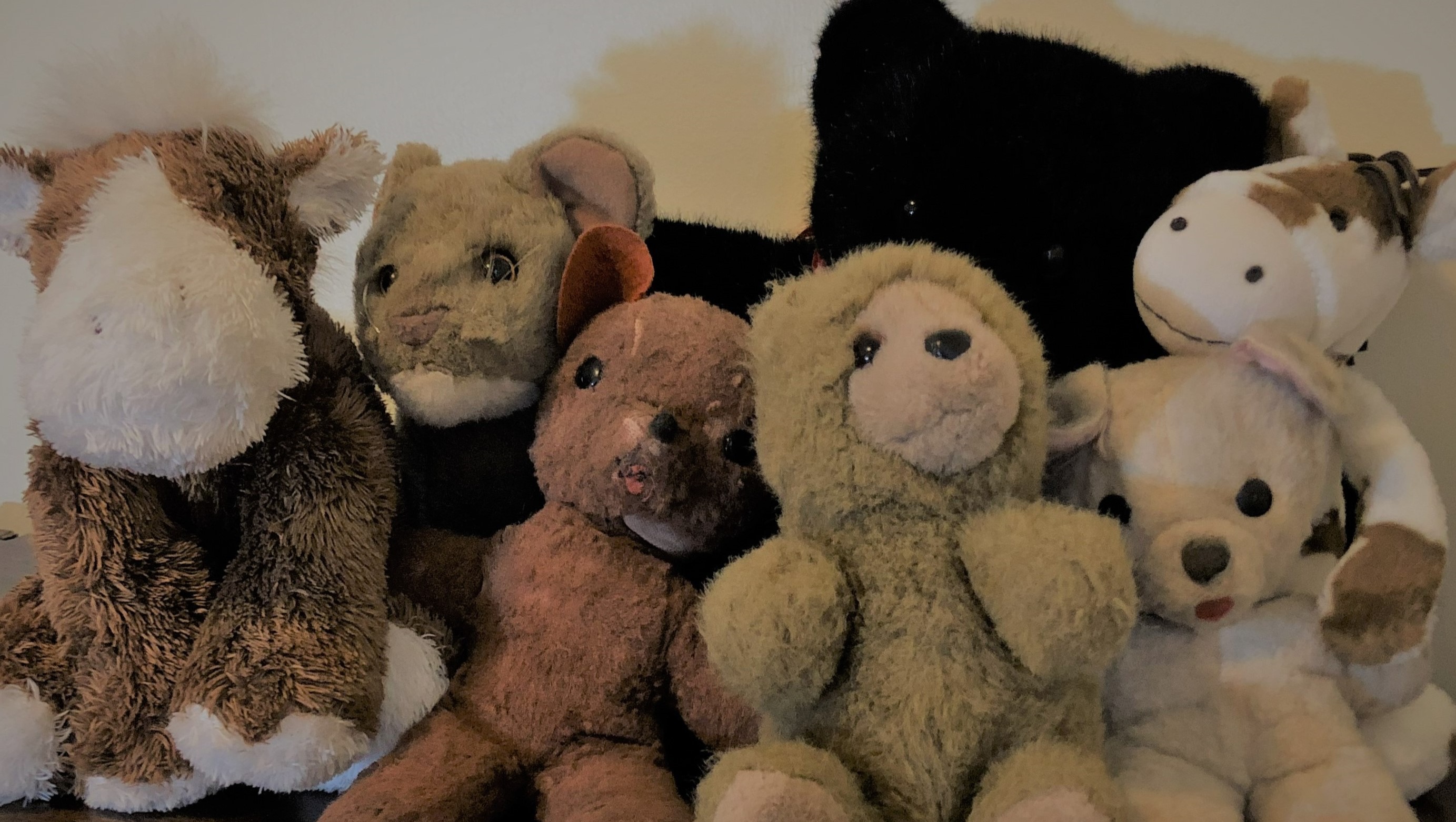 Fundraiser for . . by Maryasha Katz : We Keep Each Other Safe