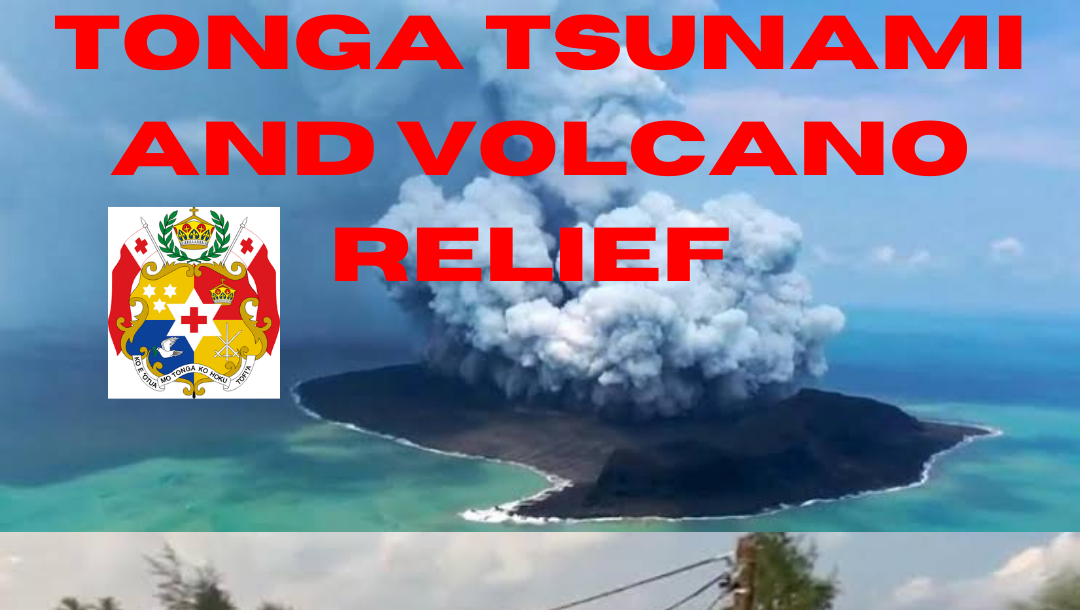 Fundraiser by Saskia Sassen : TONGA TSUNAMI AND VOLCANO RELIEF