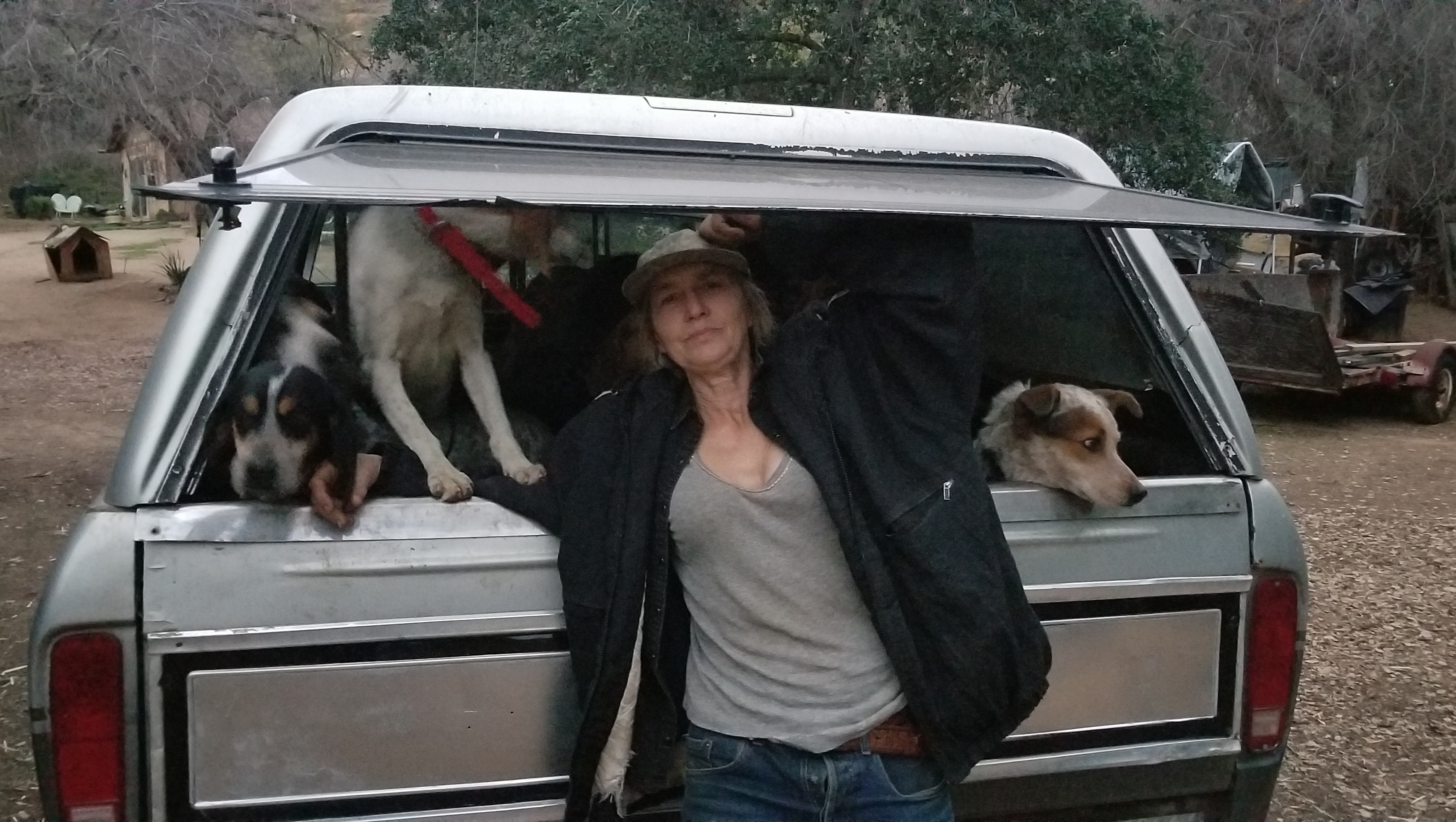 Fundraiser by Becca Walls : Last Chance Ranch Needs a Van