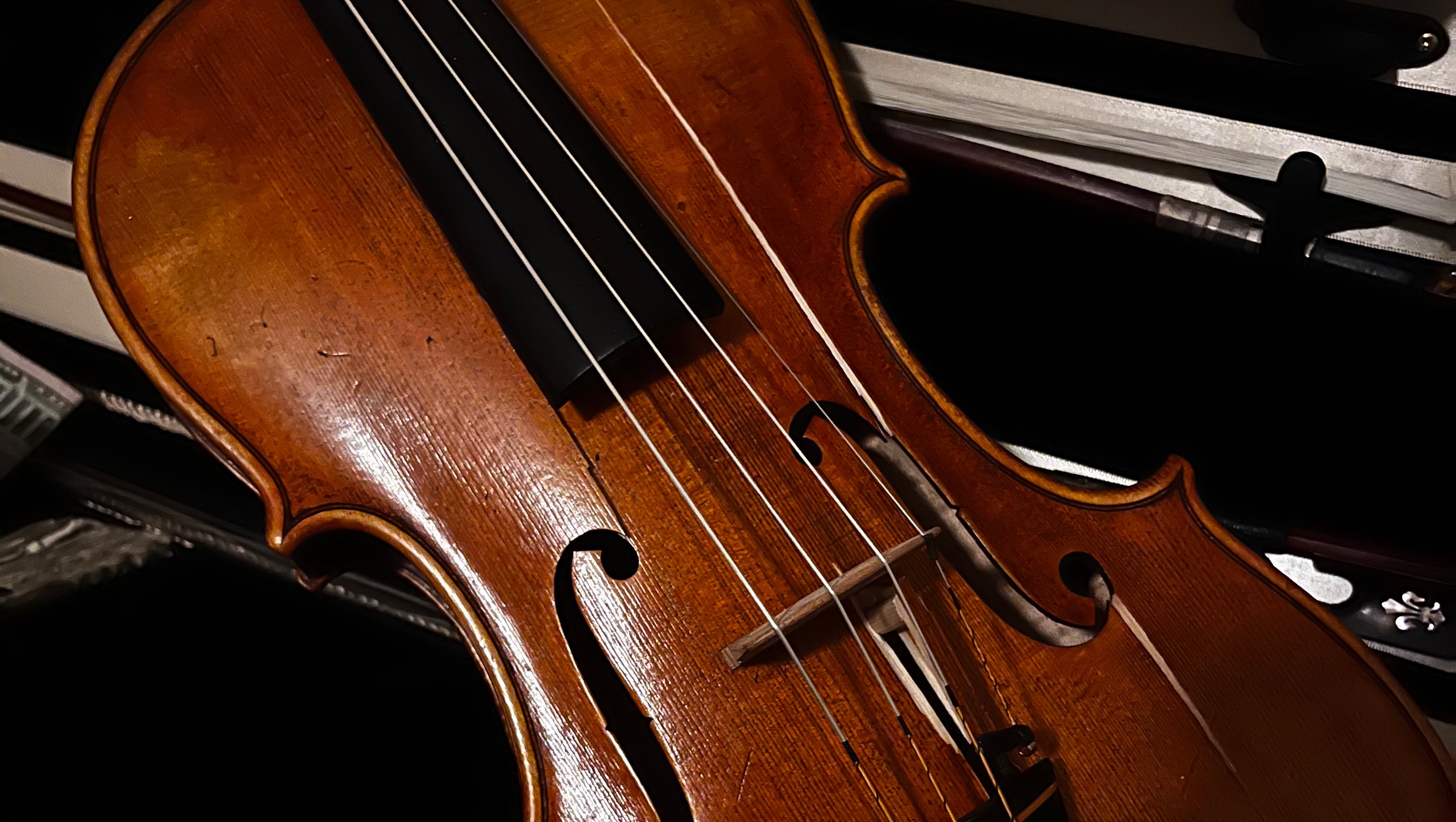 Fundraiser by Karl Allen : Help me recover from assault and destroyed viola