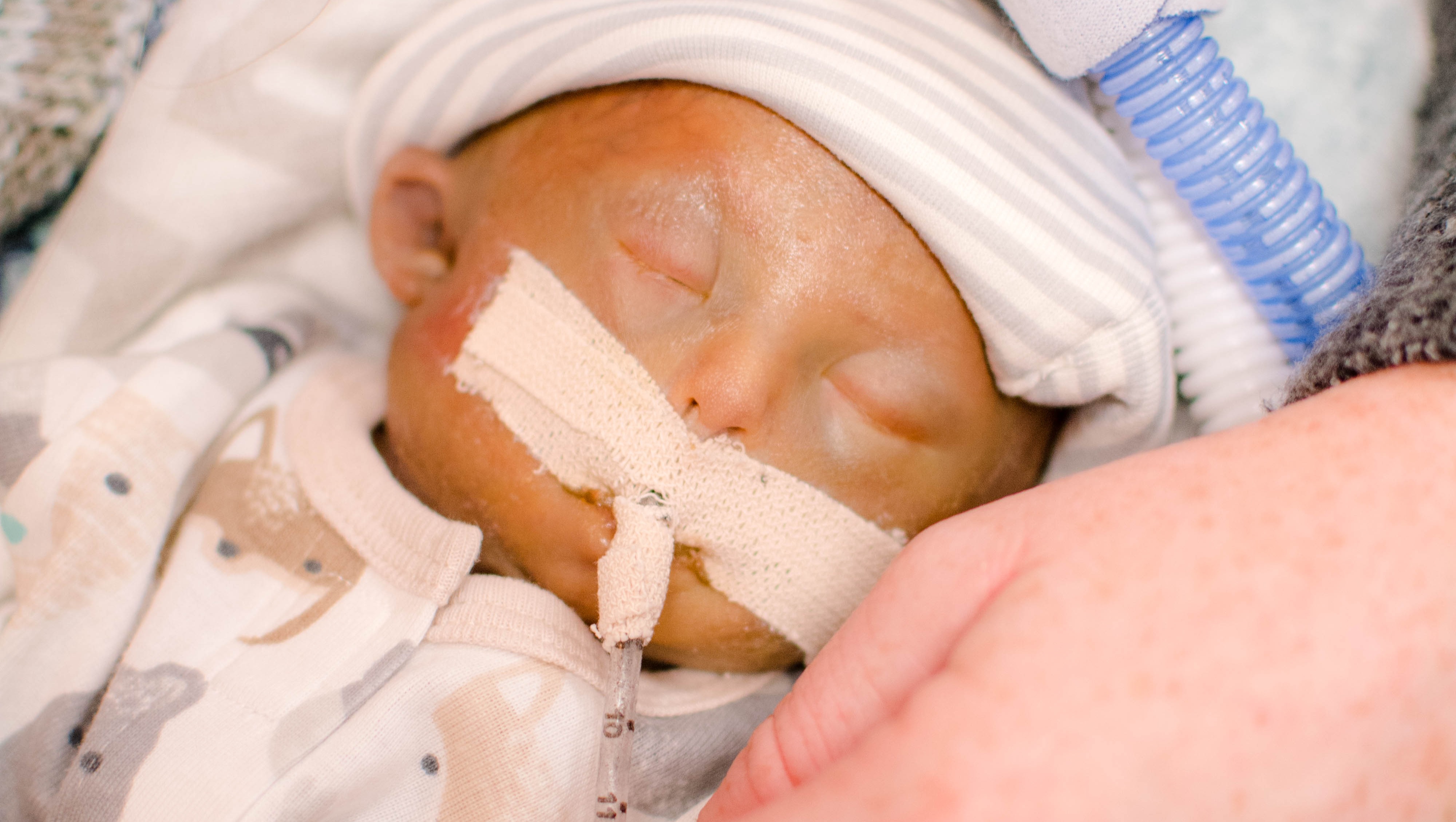 Fundraiser for Catherine Camire by Emily Kushlan : Help Ryan and Katie ...