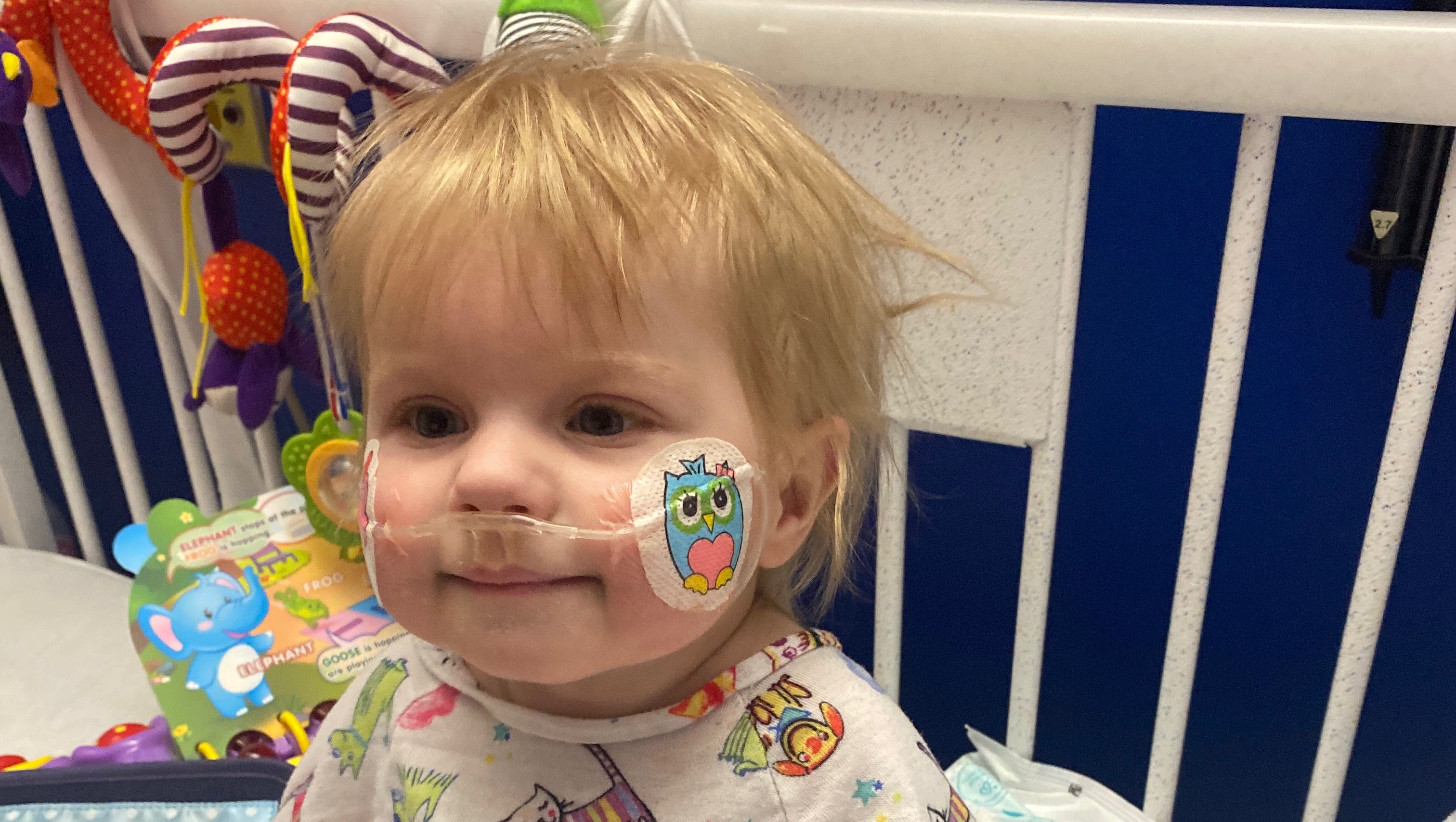 Fundraiser By Jeffrey Musgrave Help For Gemma fundraiser-by-jeffrey-musgrave-help-for-gemma
