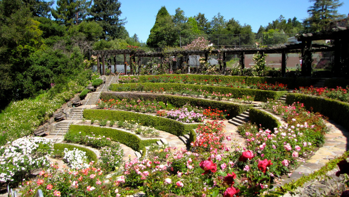 Fundraiser by Berryman Reservoir Neighbors : Protect Codornices Park ...