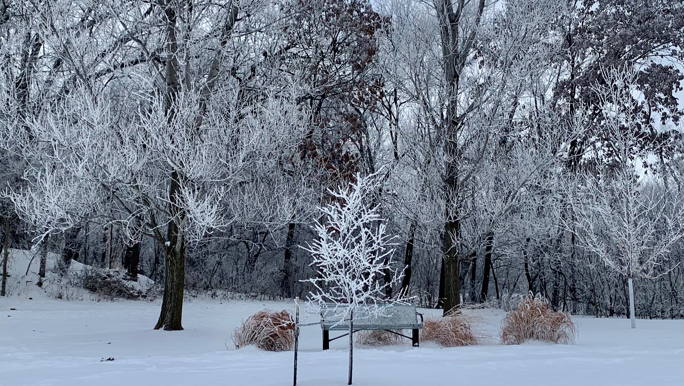 Fundraiser for Lawrence Stempel by Amy Callender : Help support Elena ...