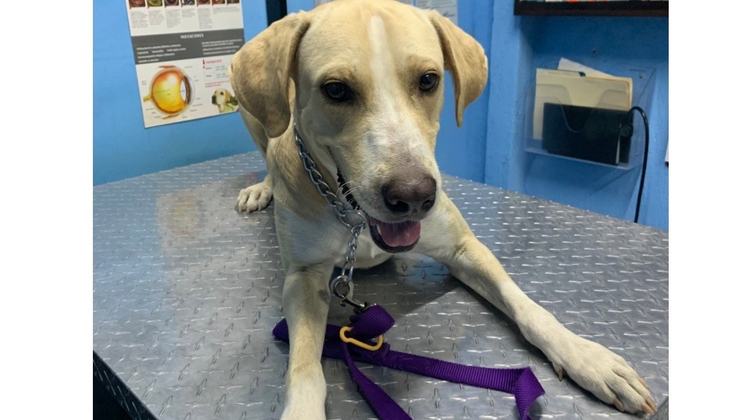 Fundraiser by Danny Dymond : Help bring us Home!