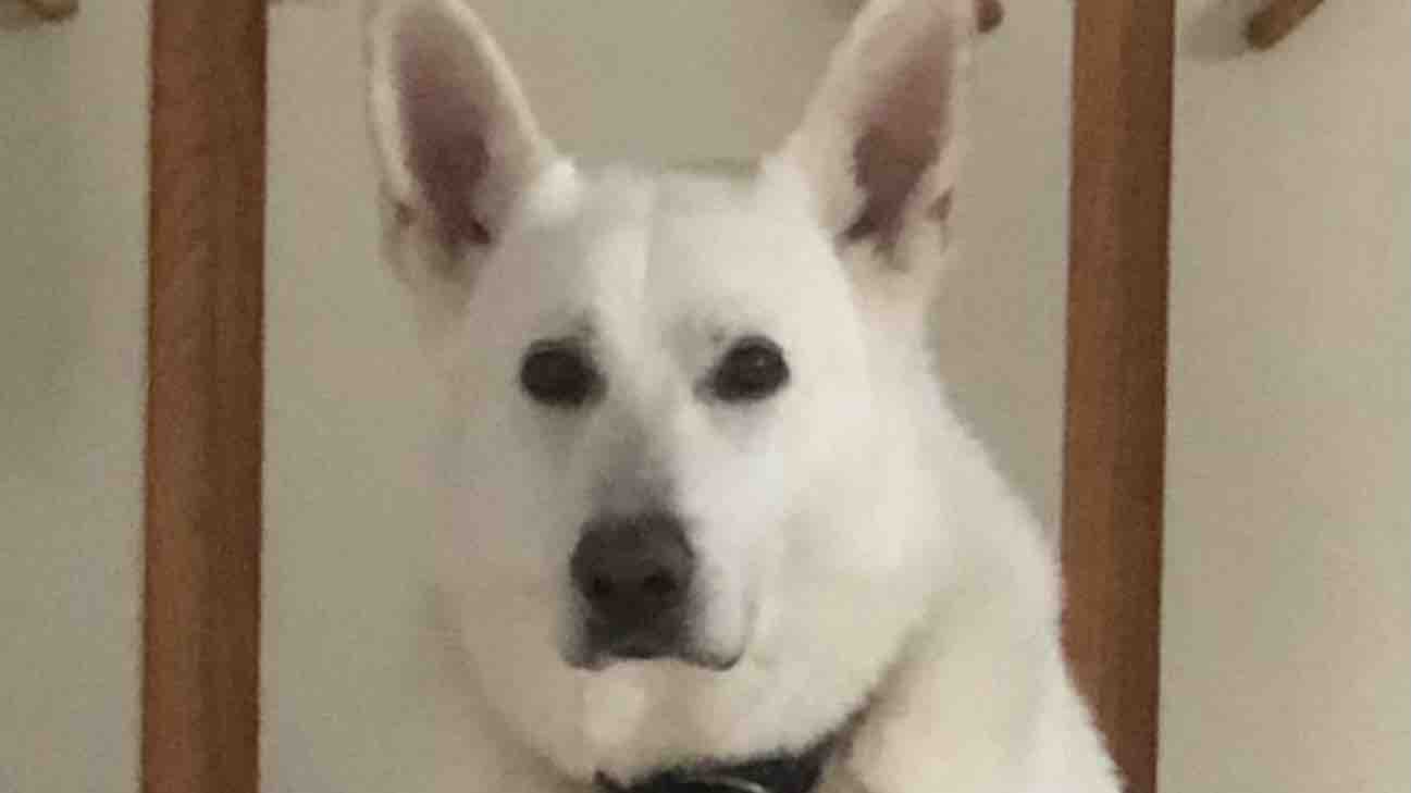 Fundraiser by Crystal Horner : Need help with moving expenses!!!