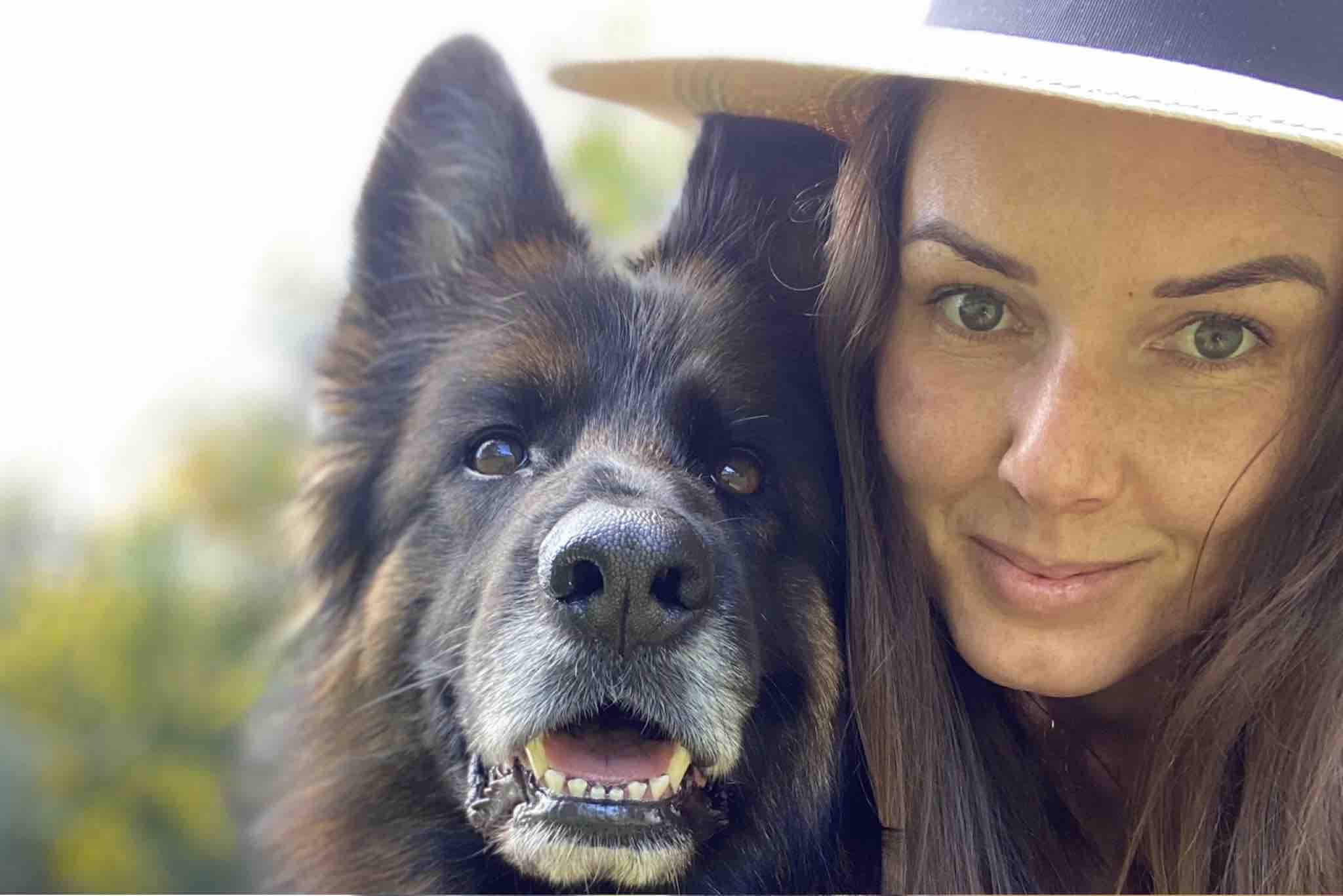 Fundraiser by Jane Owen : Help Layla my young Shepherd walk again