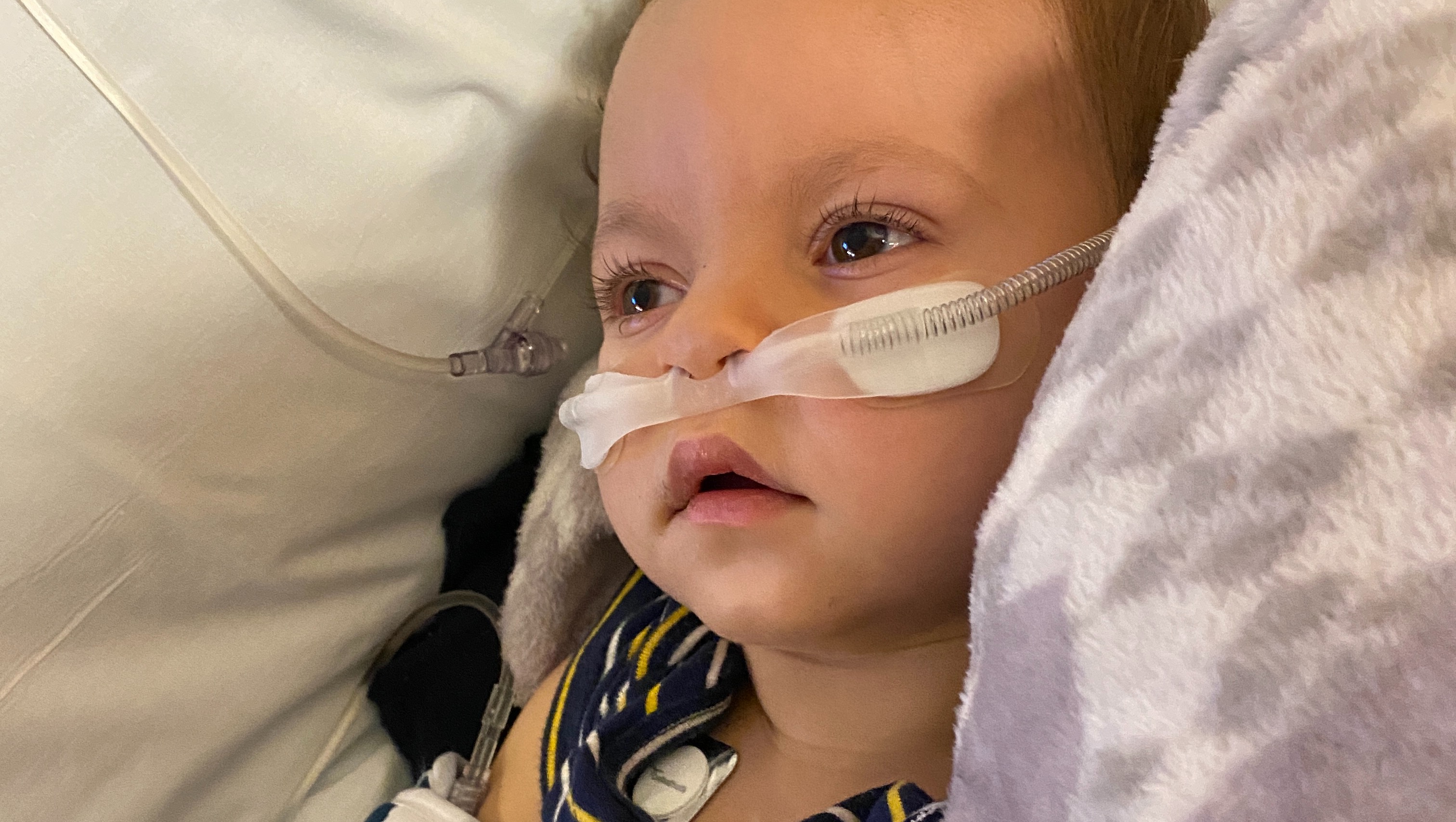 Fundraiser by Charlotte Tauer : Thomas C. S. Gorton & Family