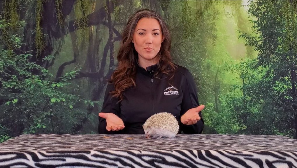 Fundraiser by Andrea Goeller : Life Saving Surgery for Heather Gomberg