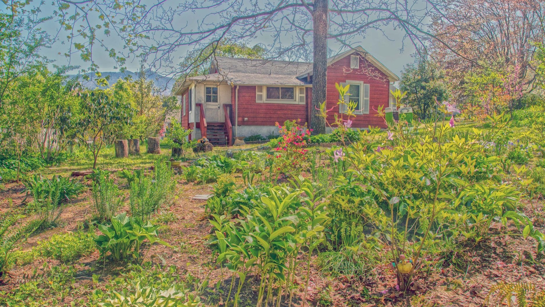 Fundraiser for Sharon Flores by Gerry Mandel : Gypsy needs our help