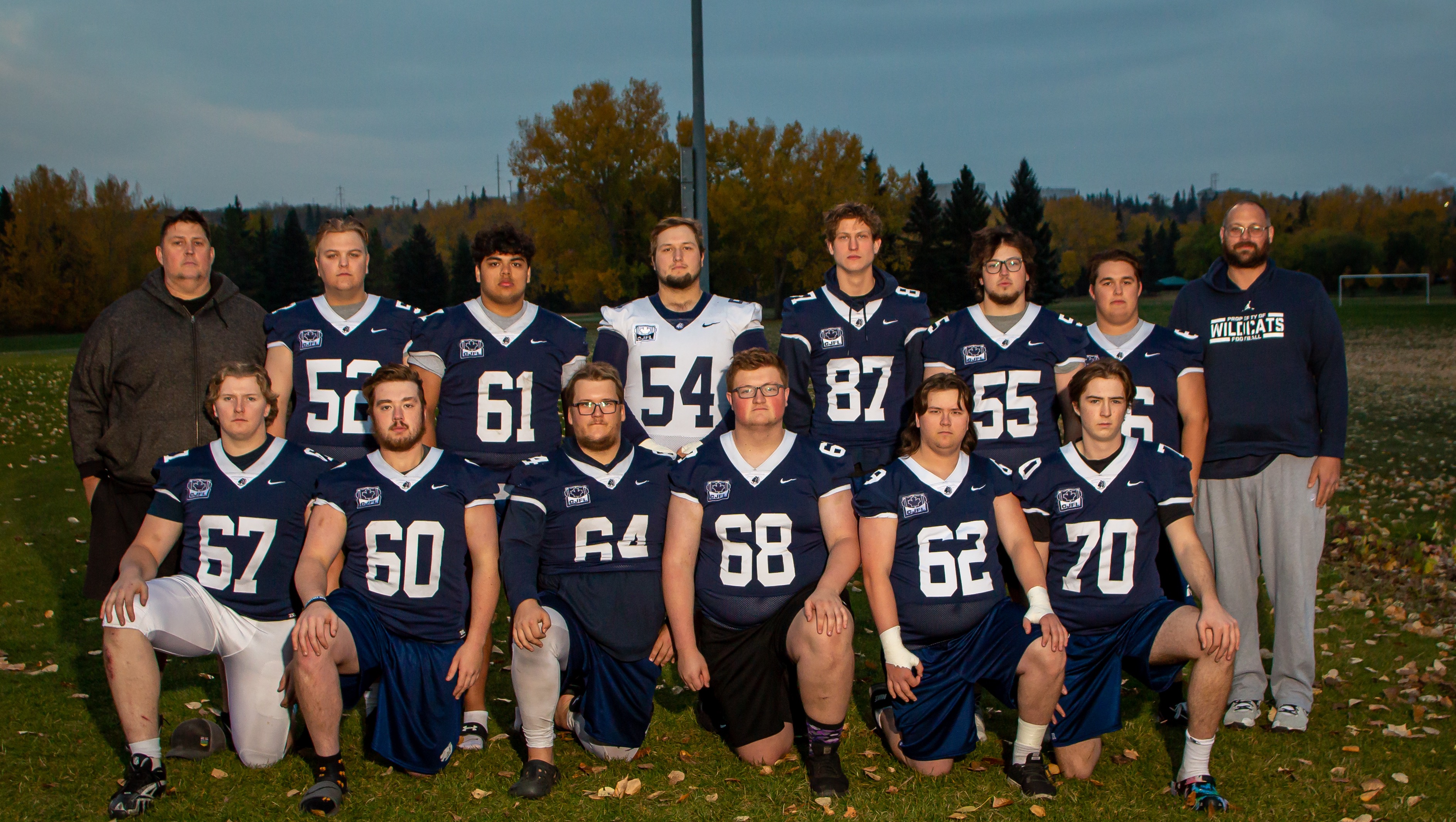 Fundraiser by Ben Fairbrother : Lets build the cats a new litter box
